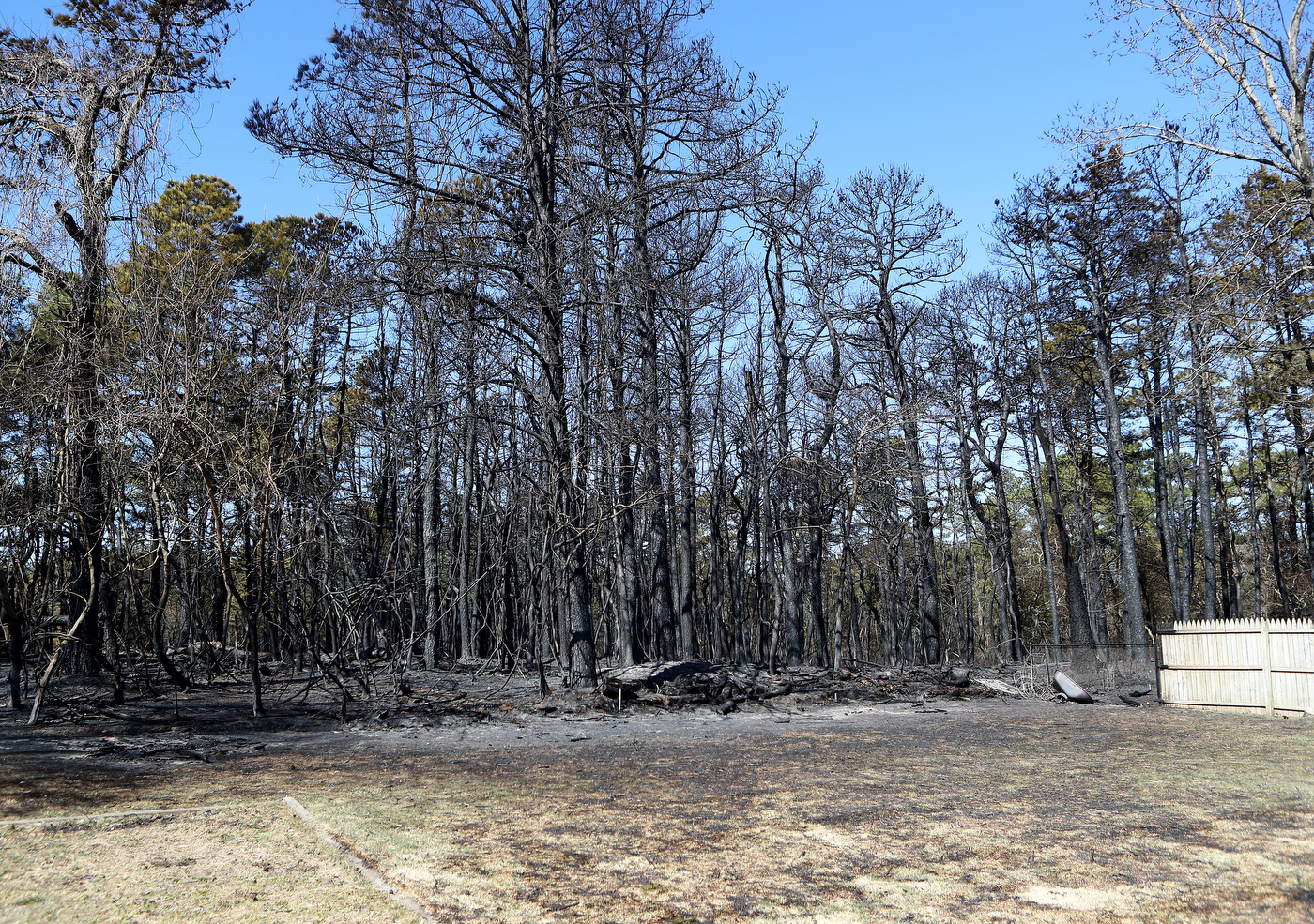 Damage from large brush fire in Brick and Lakewood, March 15, 2021 - nj.com
