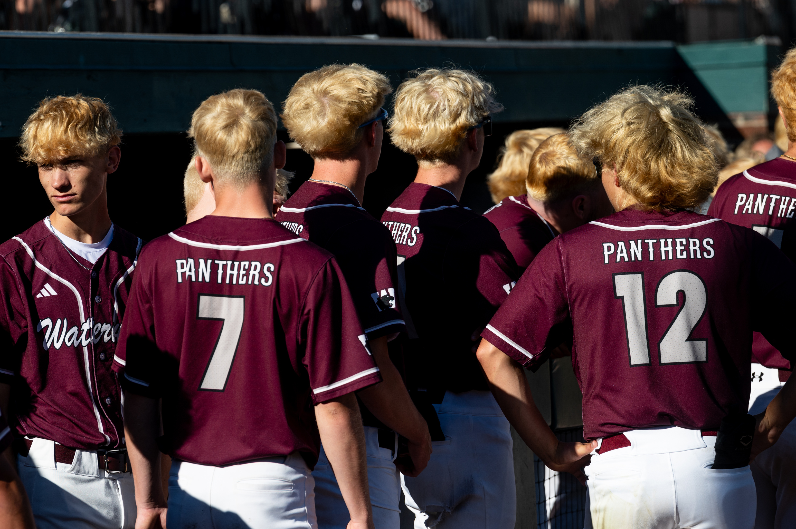 Watervliet wins MHSAA Division 3 baseball state championship - mlive.com