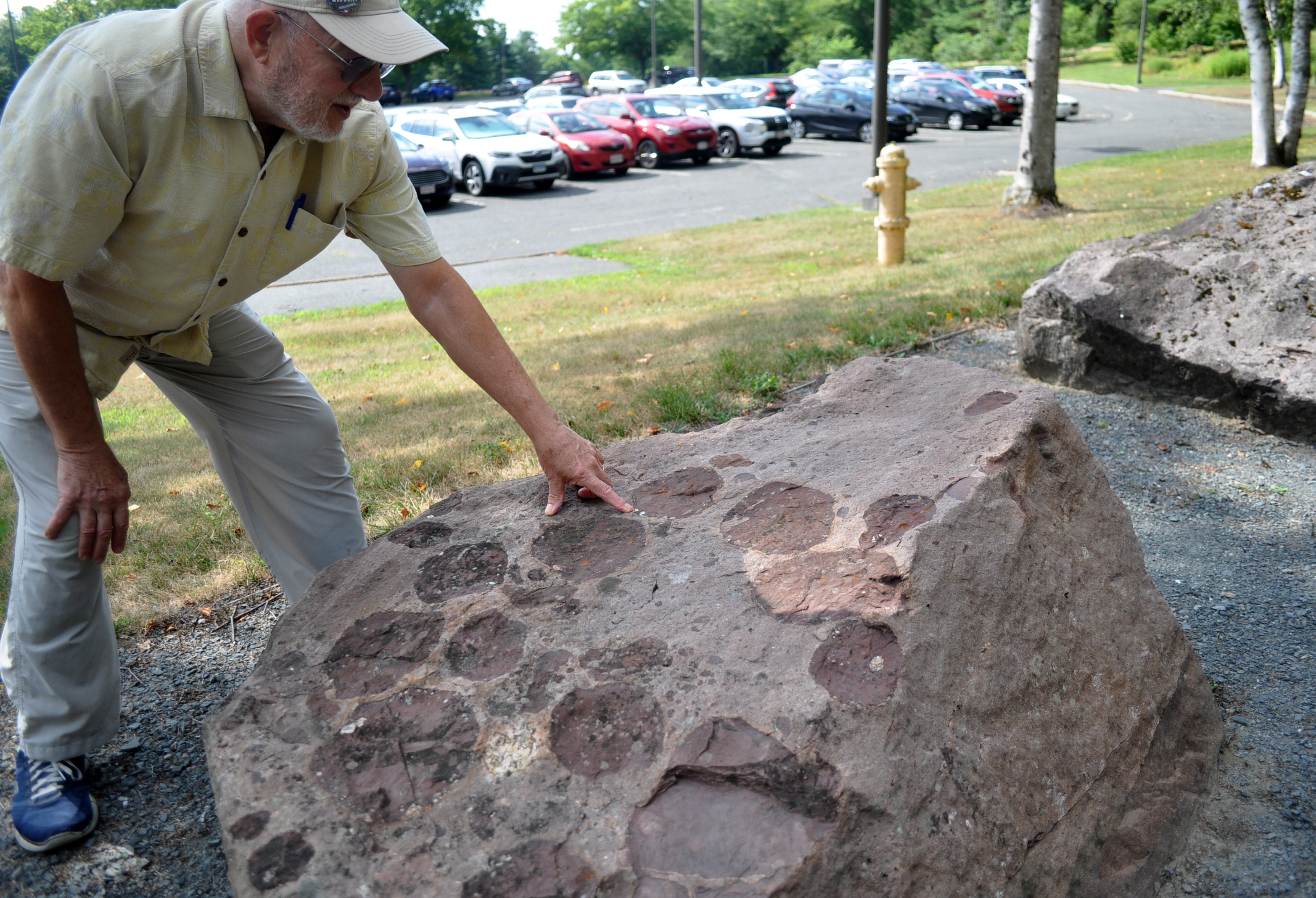 GCC's Jurassic armored mud balls - masslive.com
