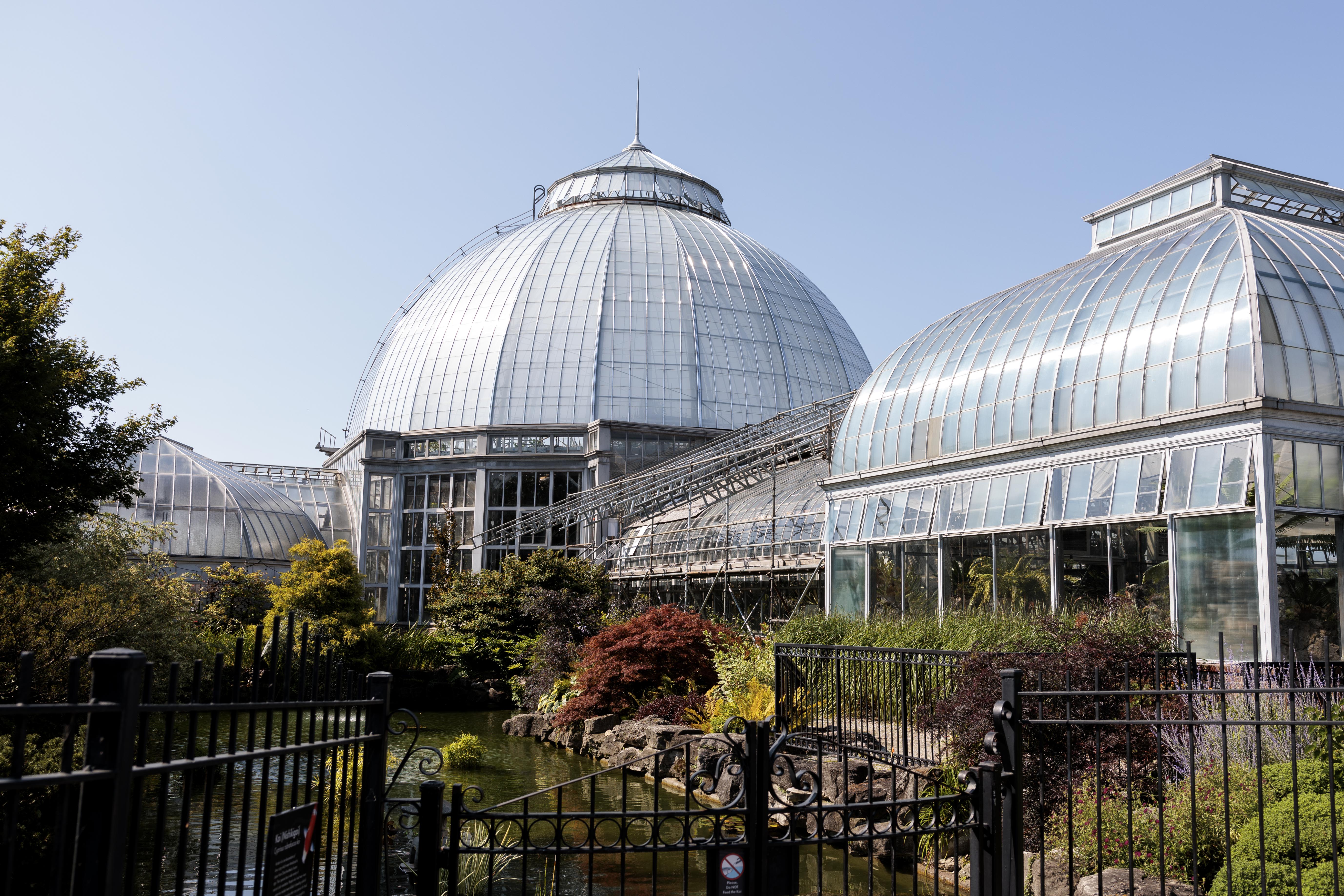 Belle Isle Conservatory - mlive.com