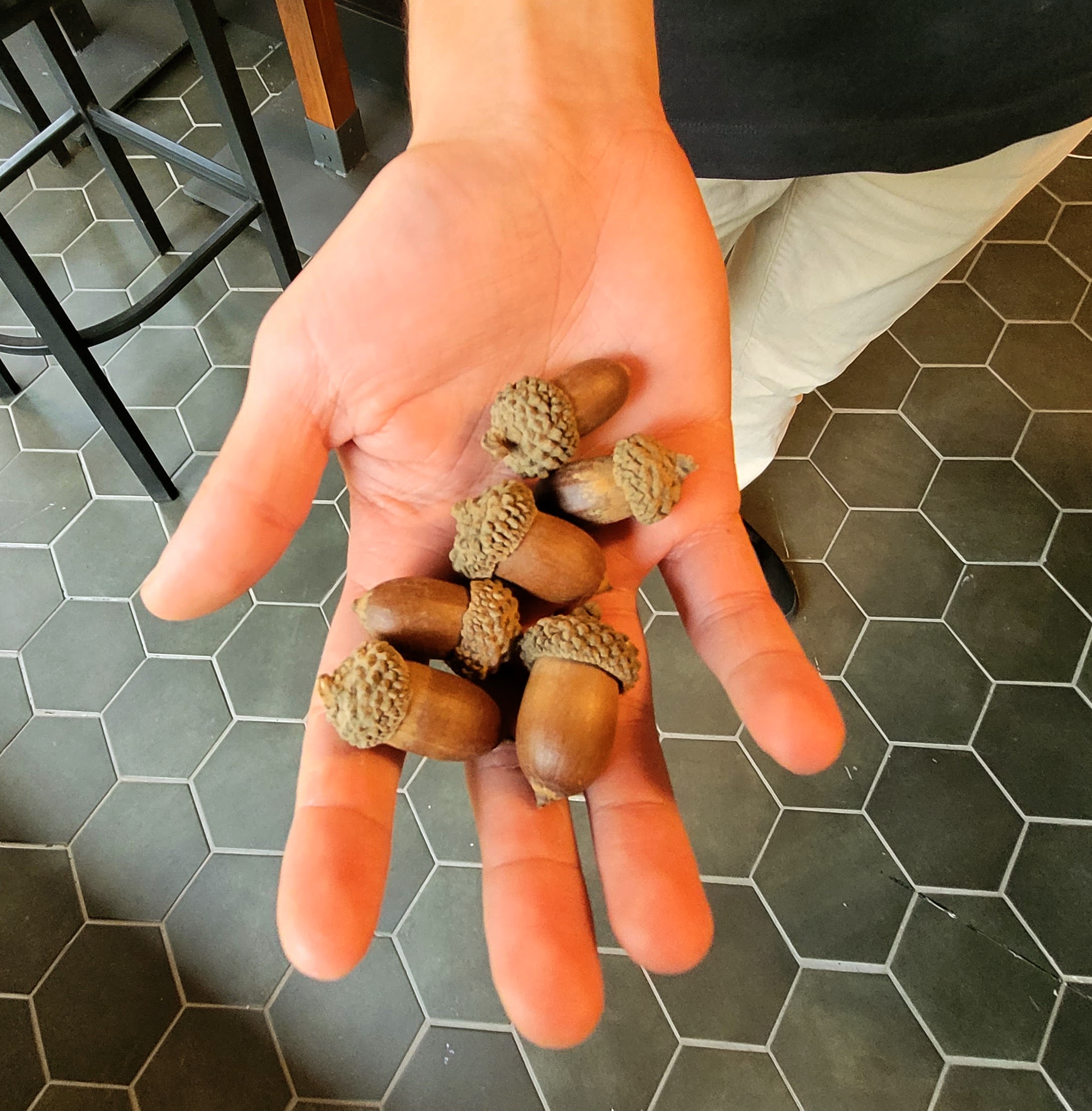 Acorn to Oak Wine Experience - oregonlive.com