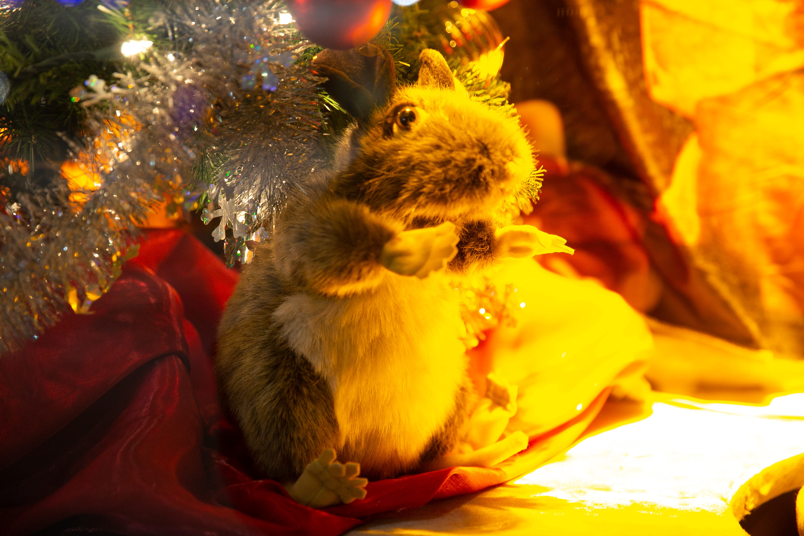 Historic Higbee windows showcase "The Nutcracker" at JACK Casino ...