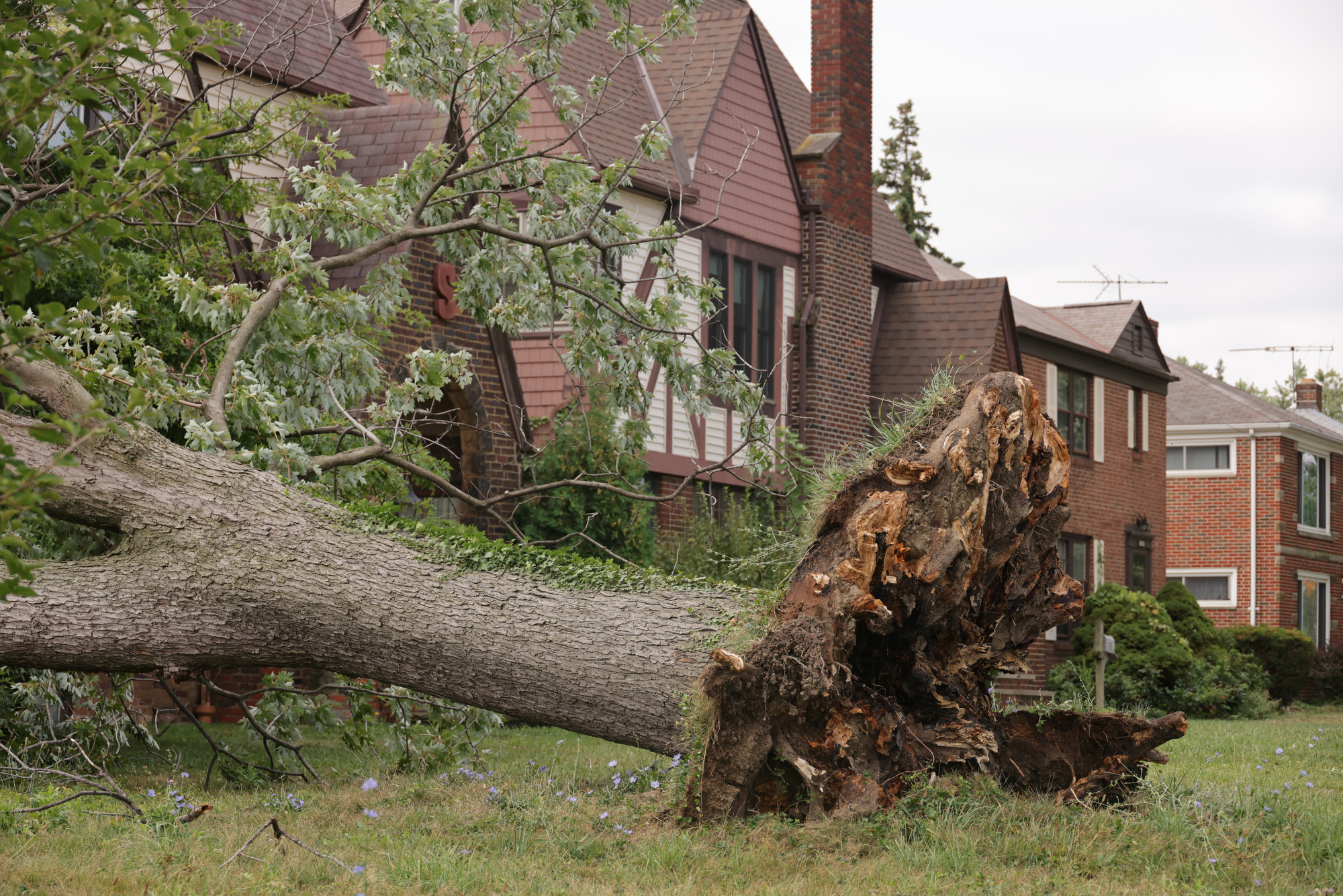 Storm damage around Northeast Ohio, August 7, 2024 - cleveland.com