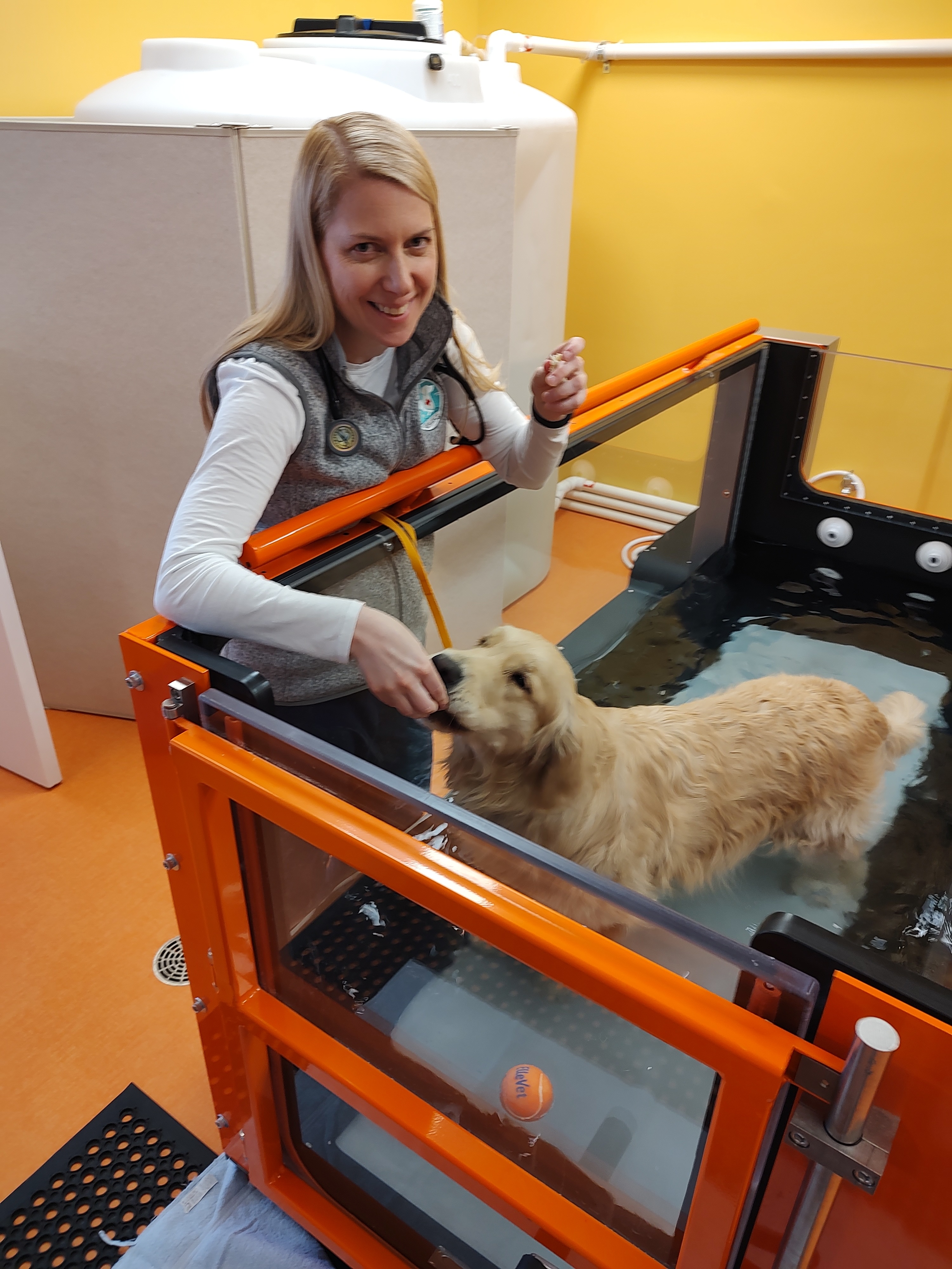 Sea Legs Integrative Veterinary Health - masslive.com