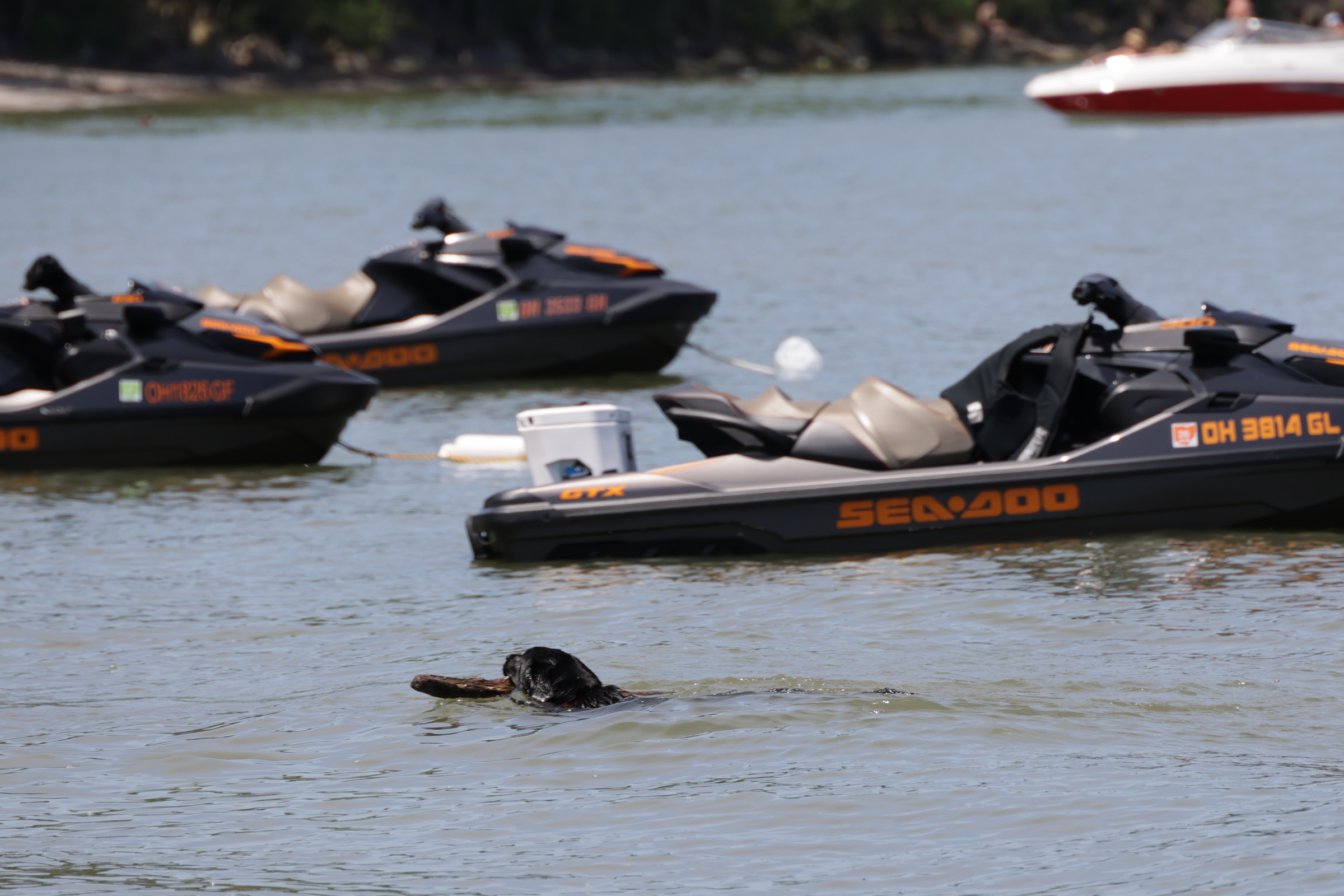 Edgewater Park - The cool place to be - cleveland.com