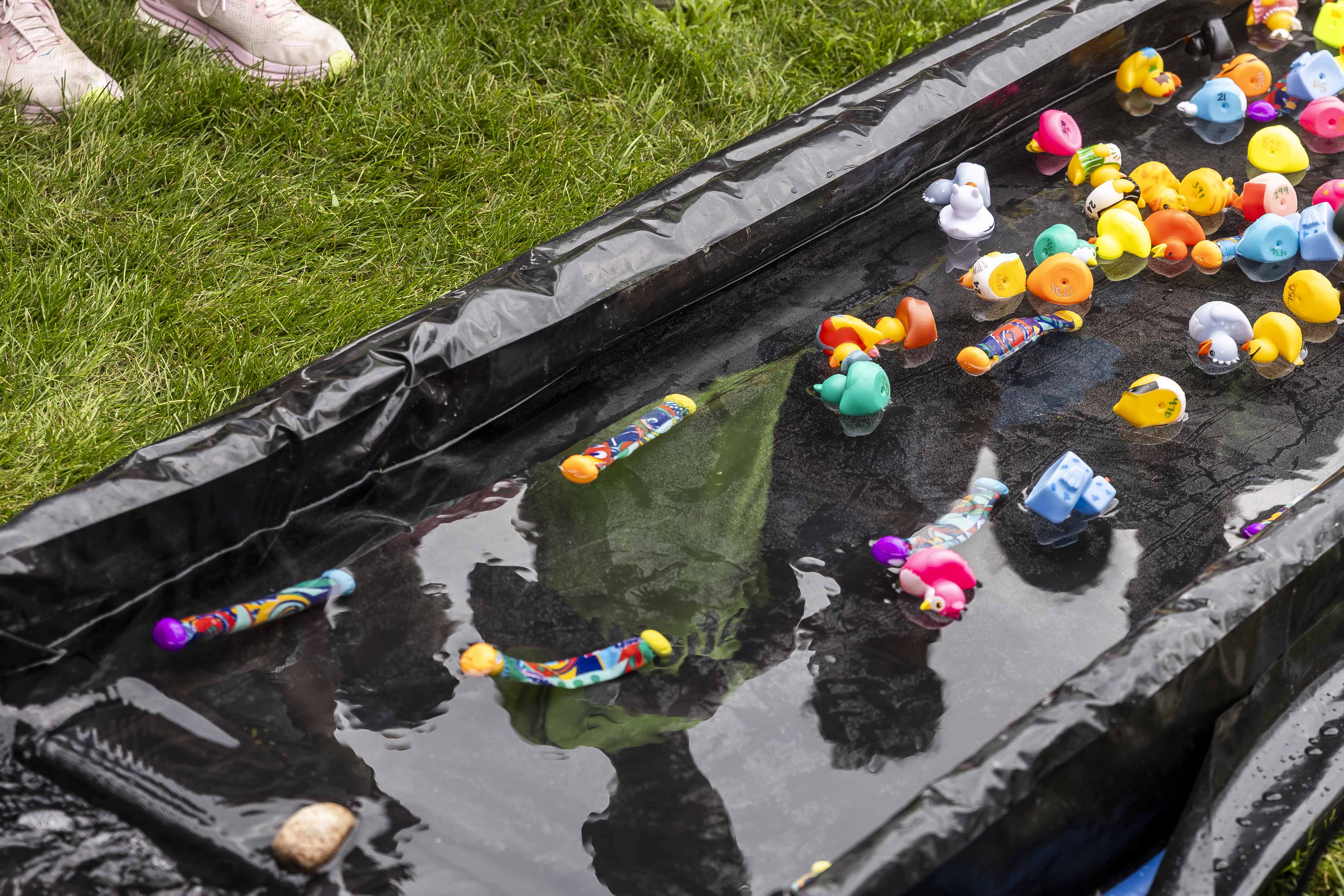 Douglas Duck Dash brings family fun to Saugatuck Venetian Festival ...