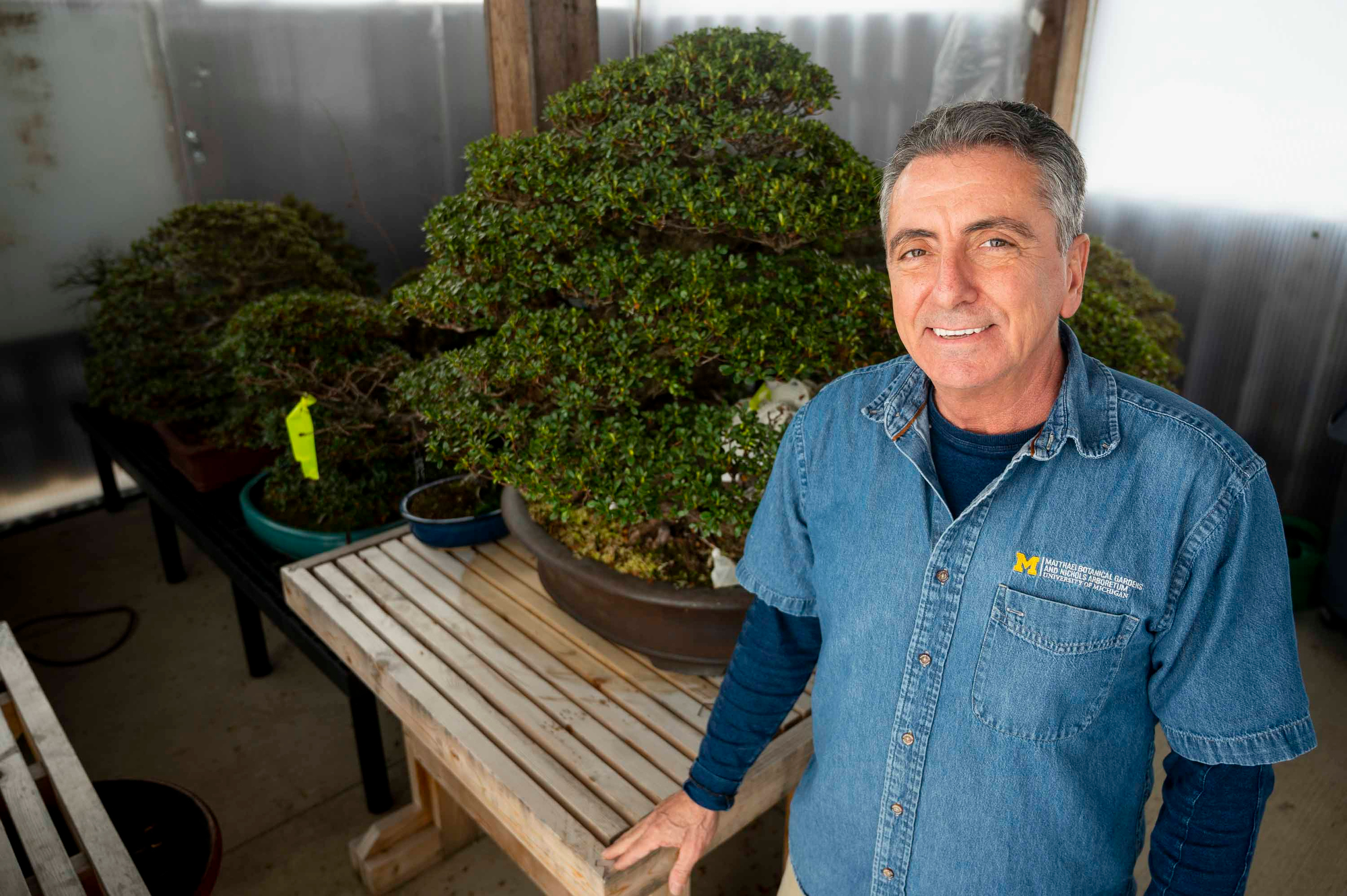 Matthei Botanical Gardens hosts fast-growing collection of bonsai ...