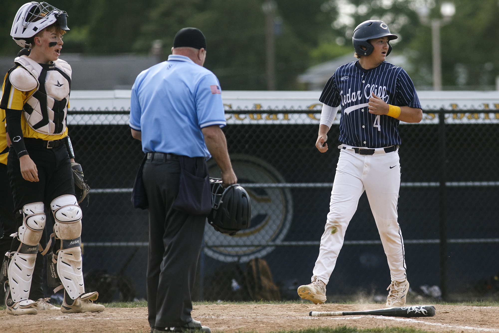 Cedar Cliff defeats Red Lion 4-2 in District 3 baseball semi-final ...