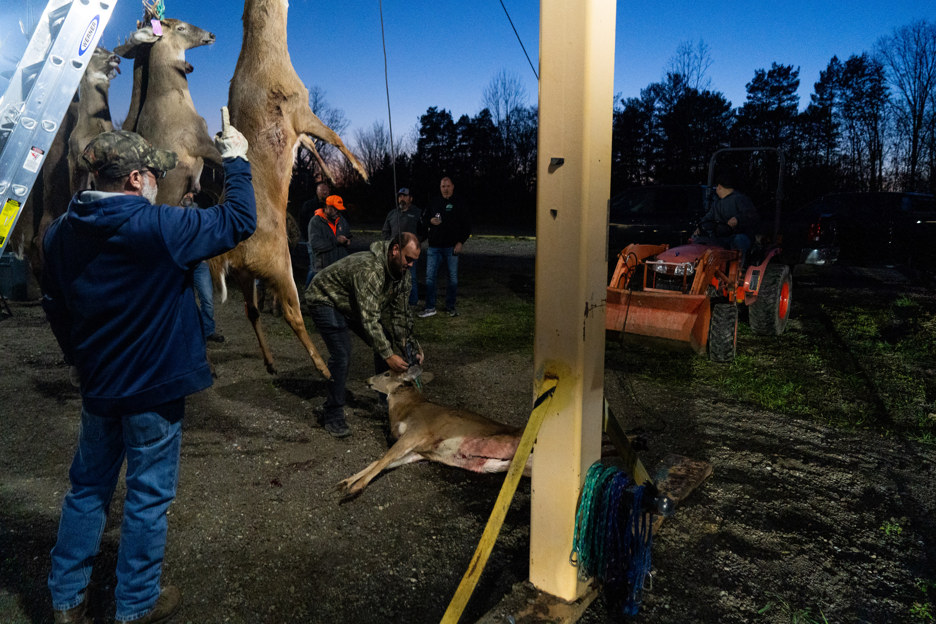 Hunters make their way to the buck poles on opening day - mlive.com