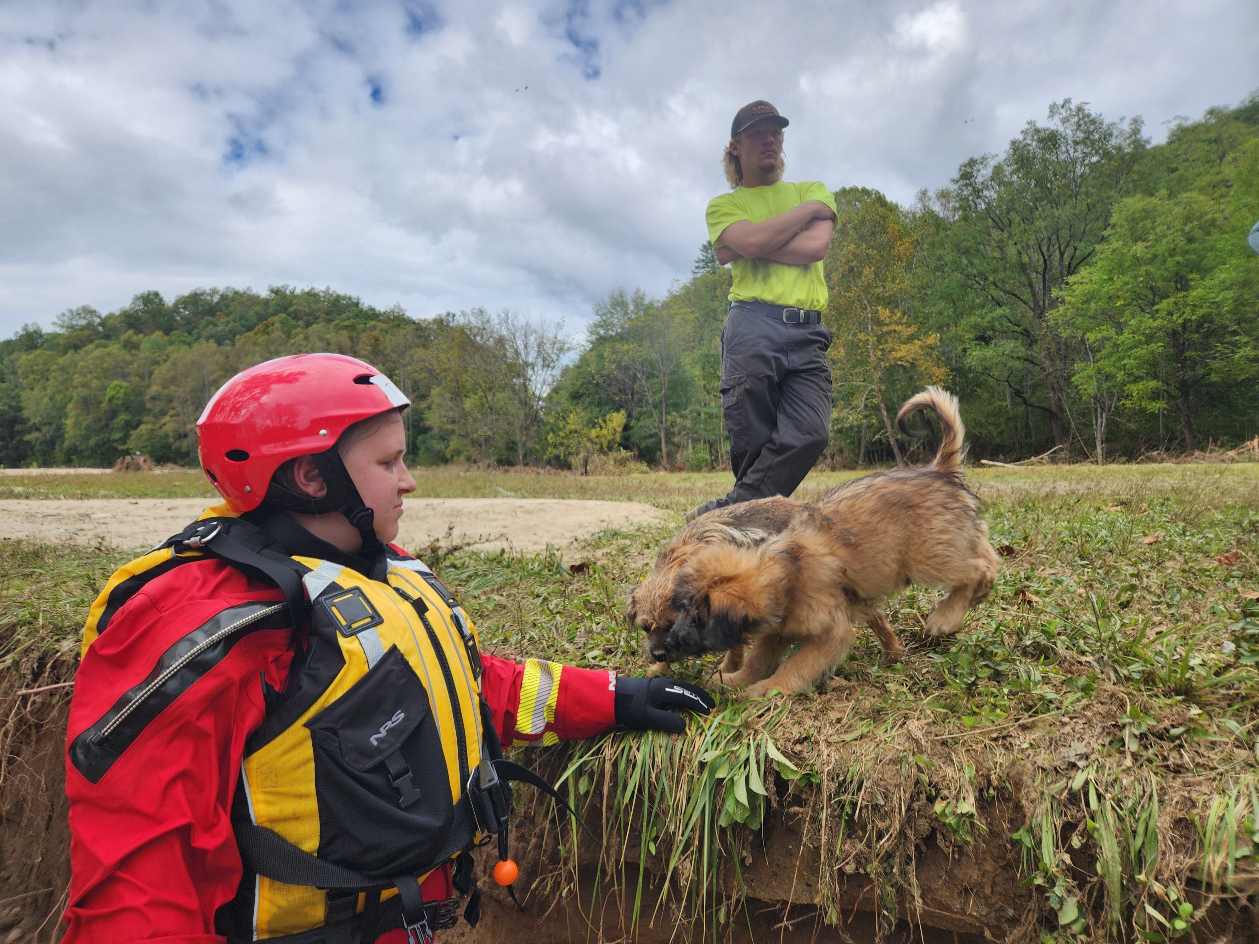 Hurricane refugee animals - mlive.com