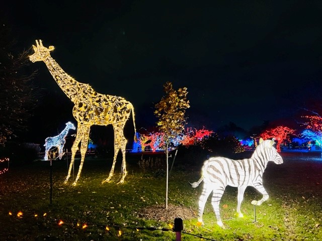 Wild Lights at the Detroit Zoo 2021 - mlive.com