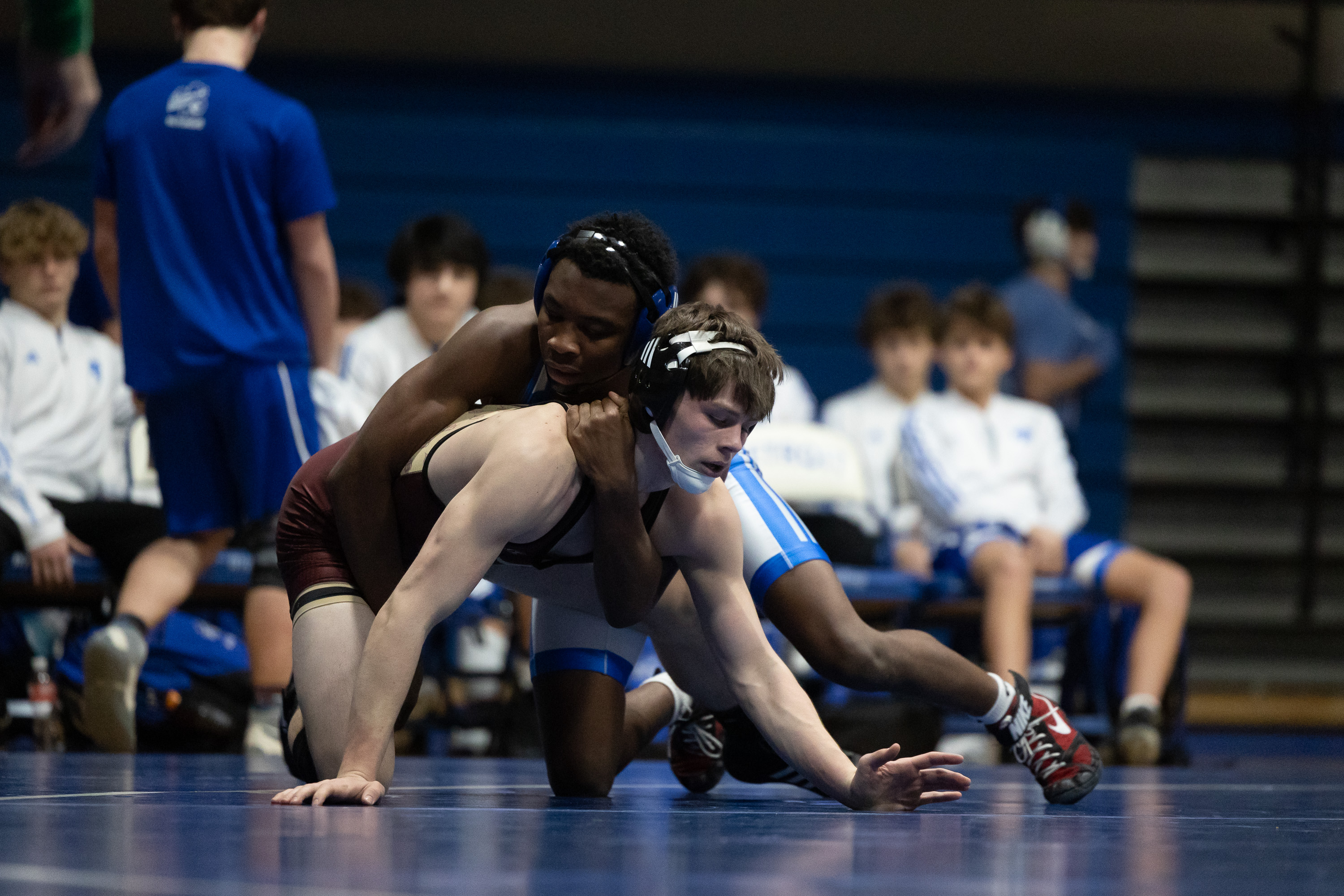 Detroit Catholic Central hosts Davison for boys wrestling - mlive.com