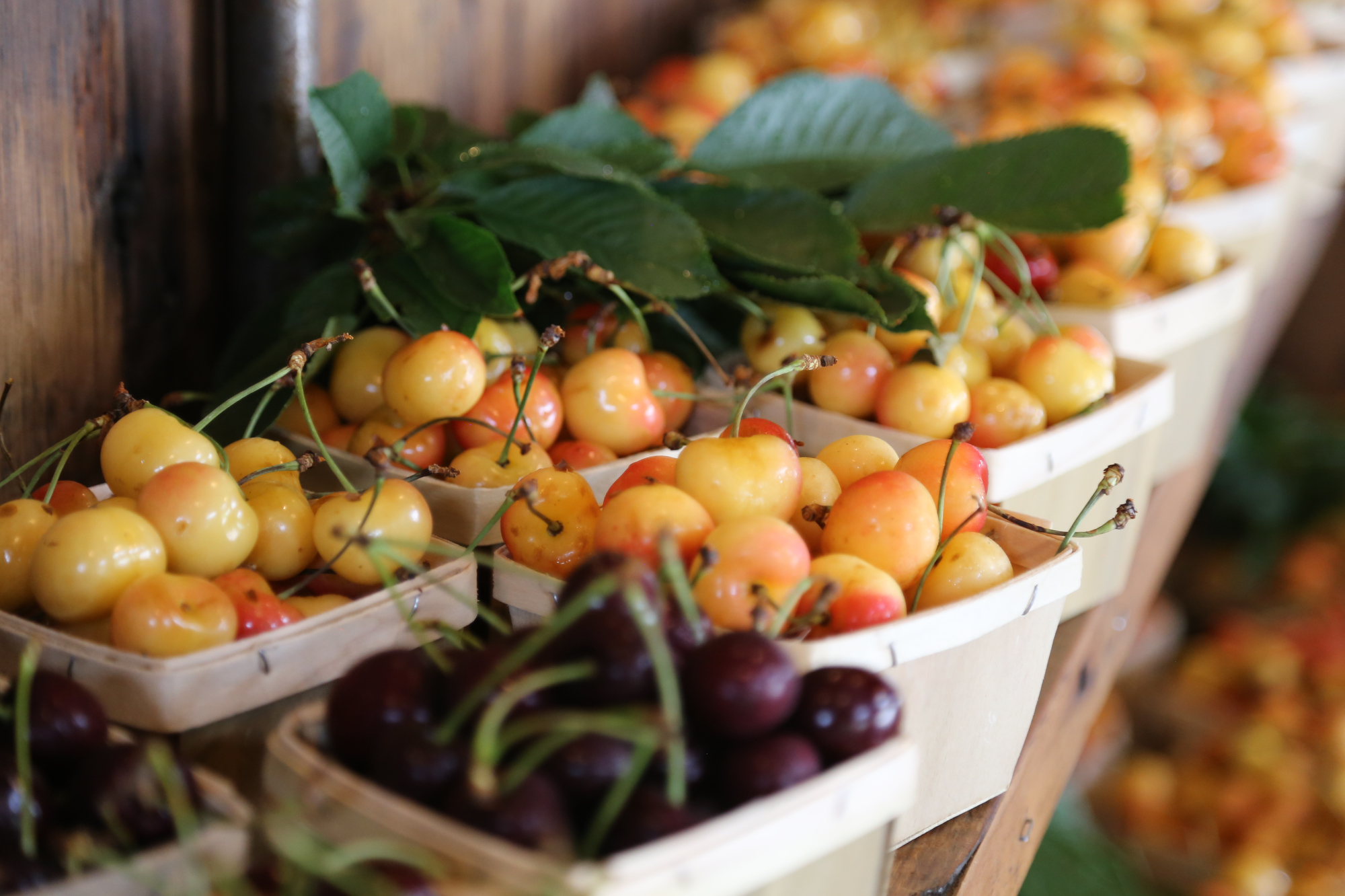 Quarry Hill Orchard in Berlin Heights - cleveland.com