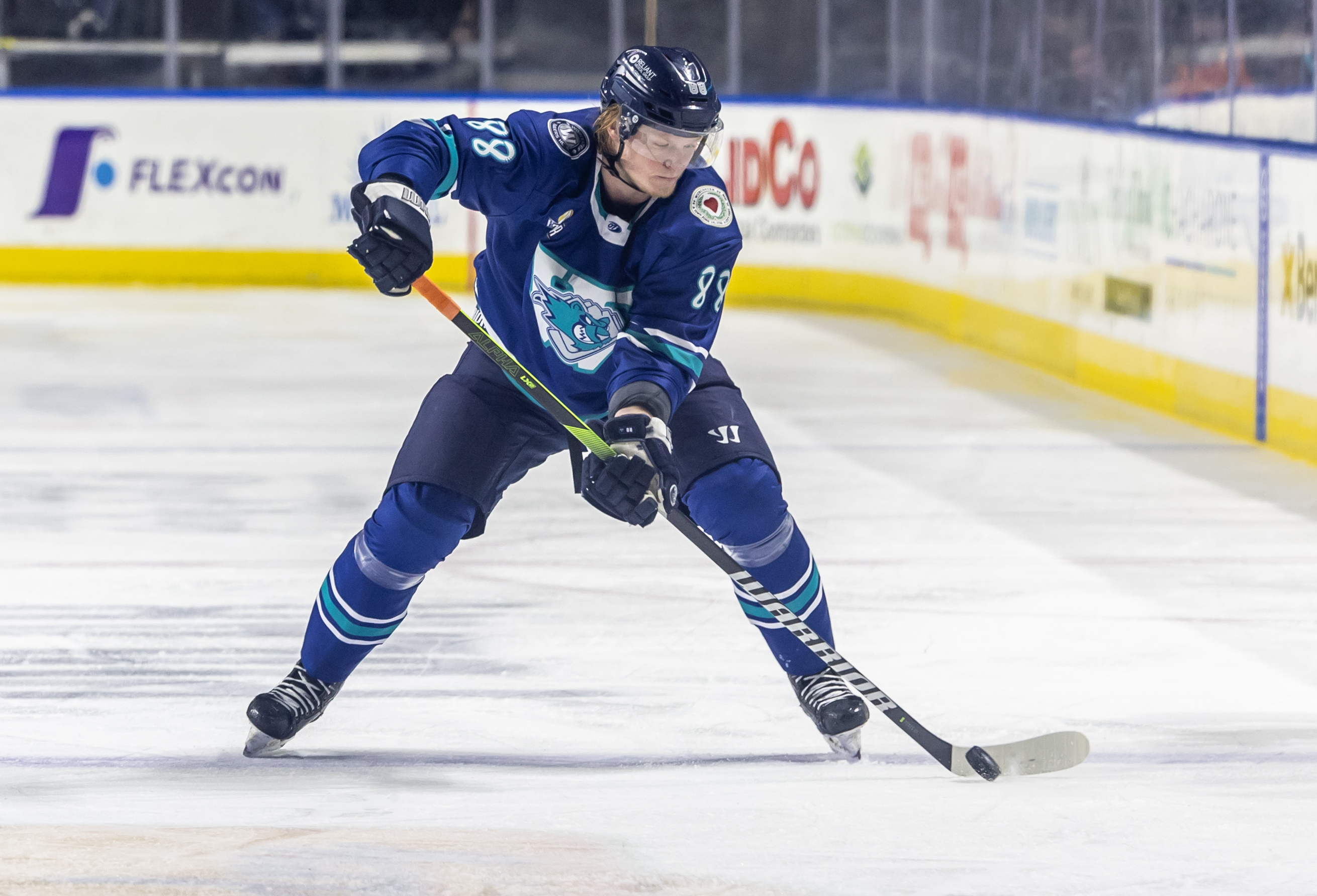 Worcester IceCats Night at the DCU Center - masslive.com