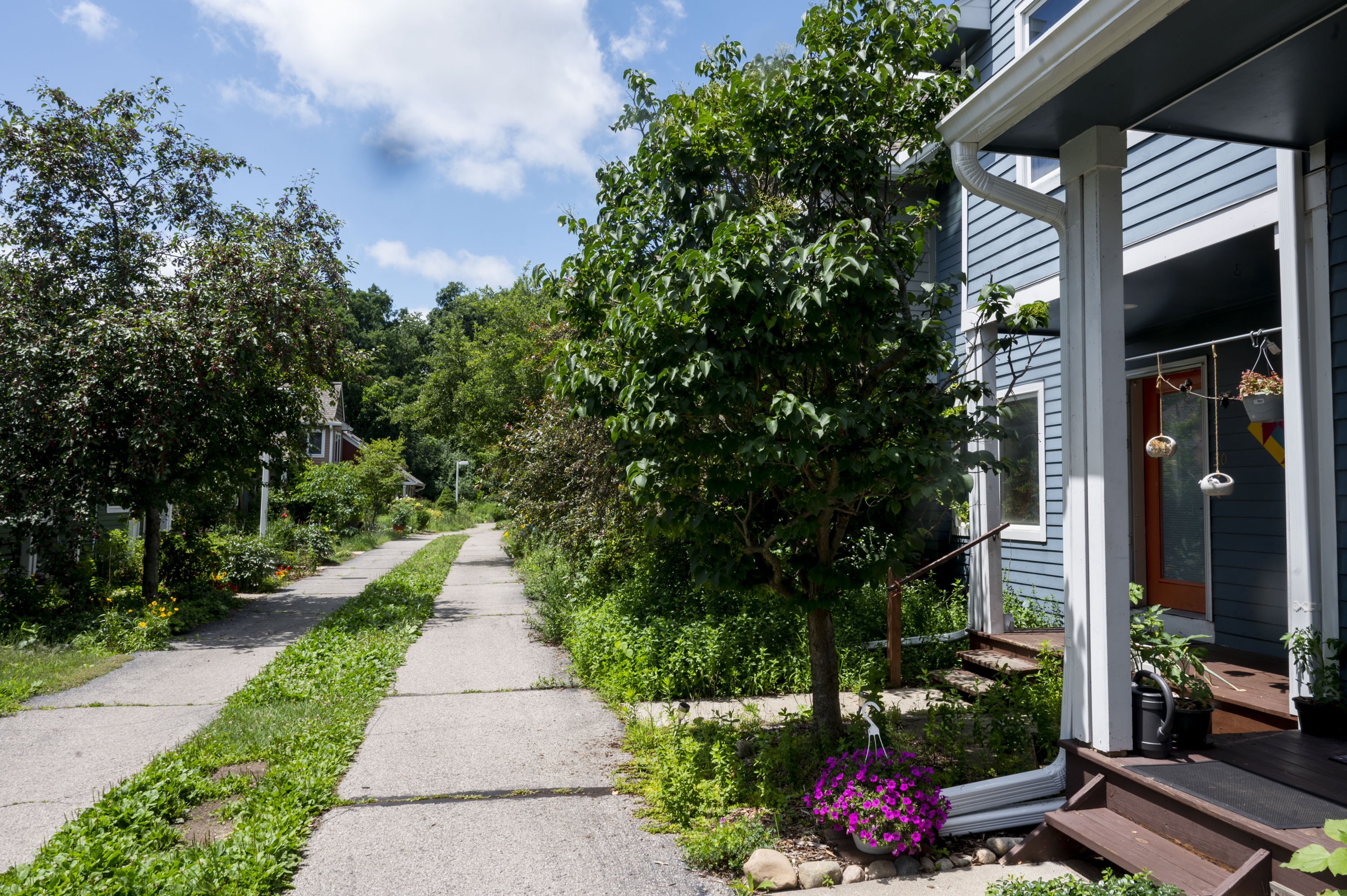 Cohousing communities across Michigan offer separate homes with ...