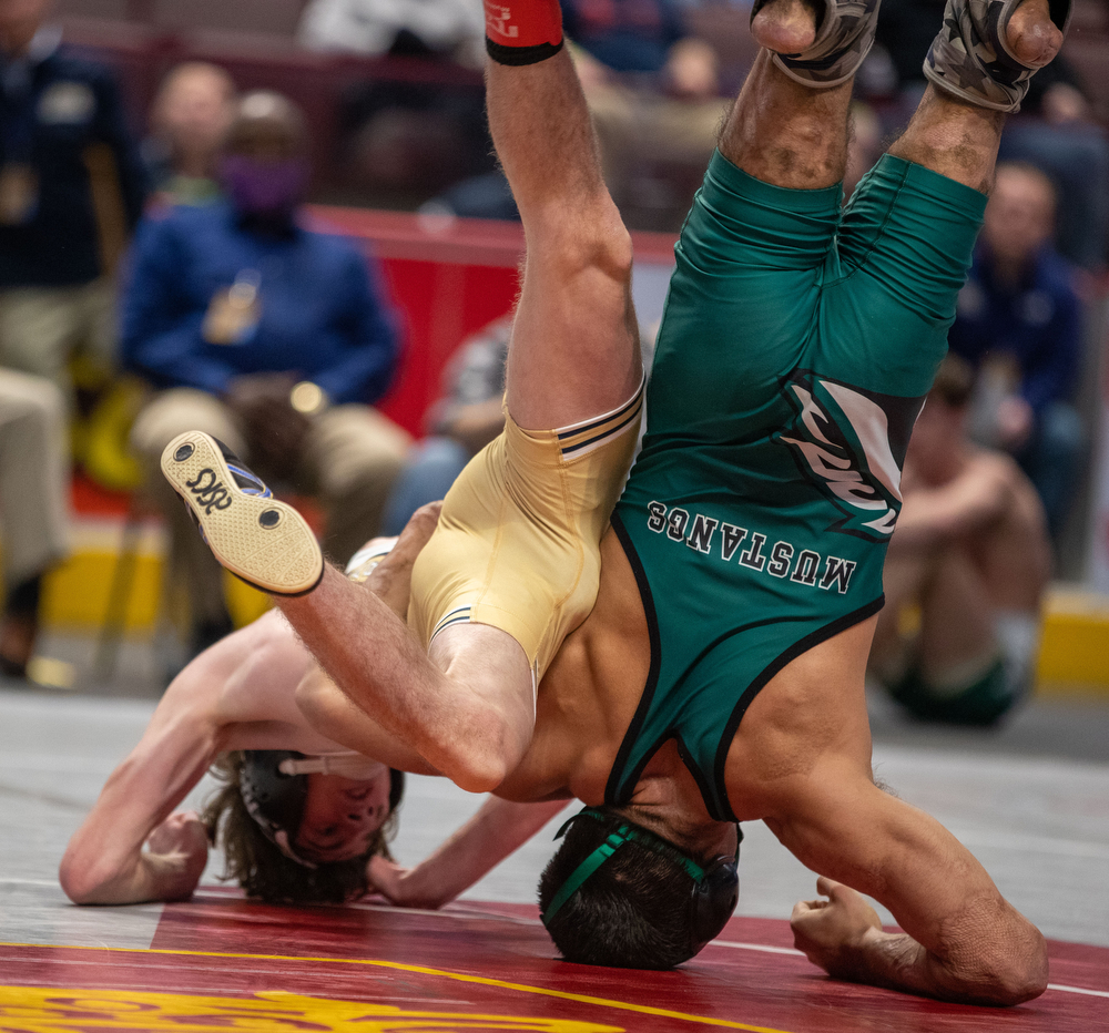 Day 2 of the 2022 PIAA Wrestling Championships - pennlive.com