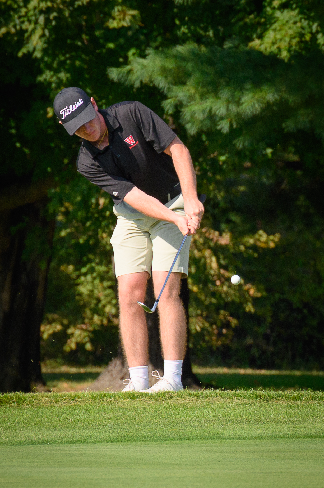 9-19-24 Westfield golf v Minnechaug - masslive.com