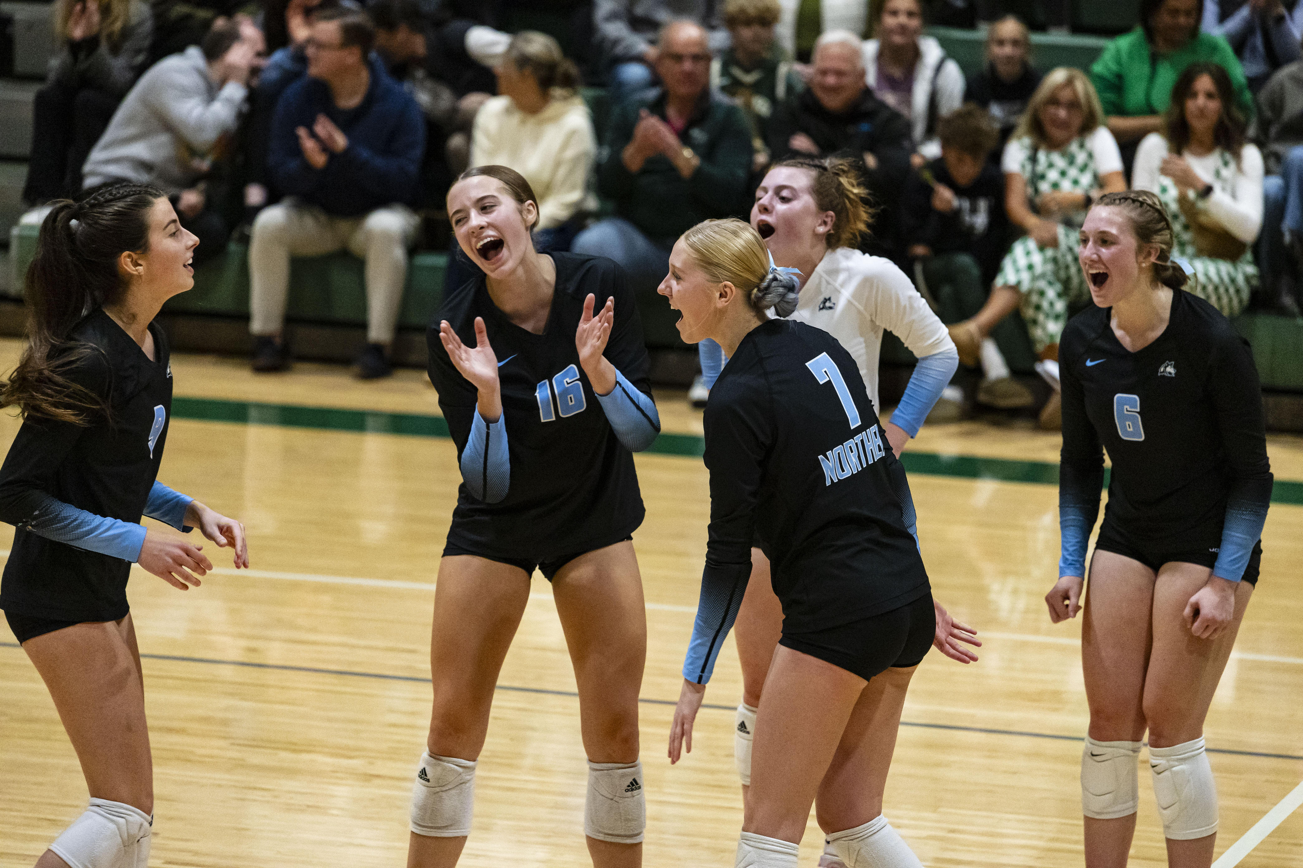 Rockford defeats Forest Hills Northern in D1 volleyball regional ...