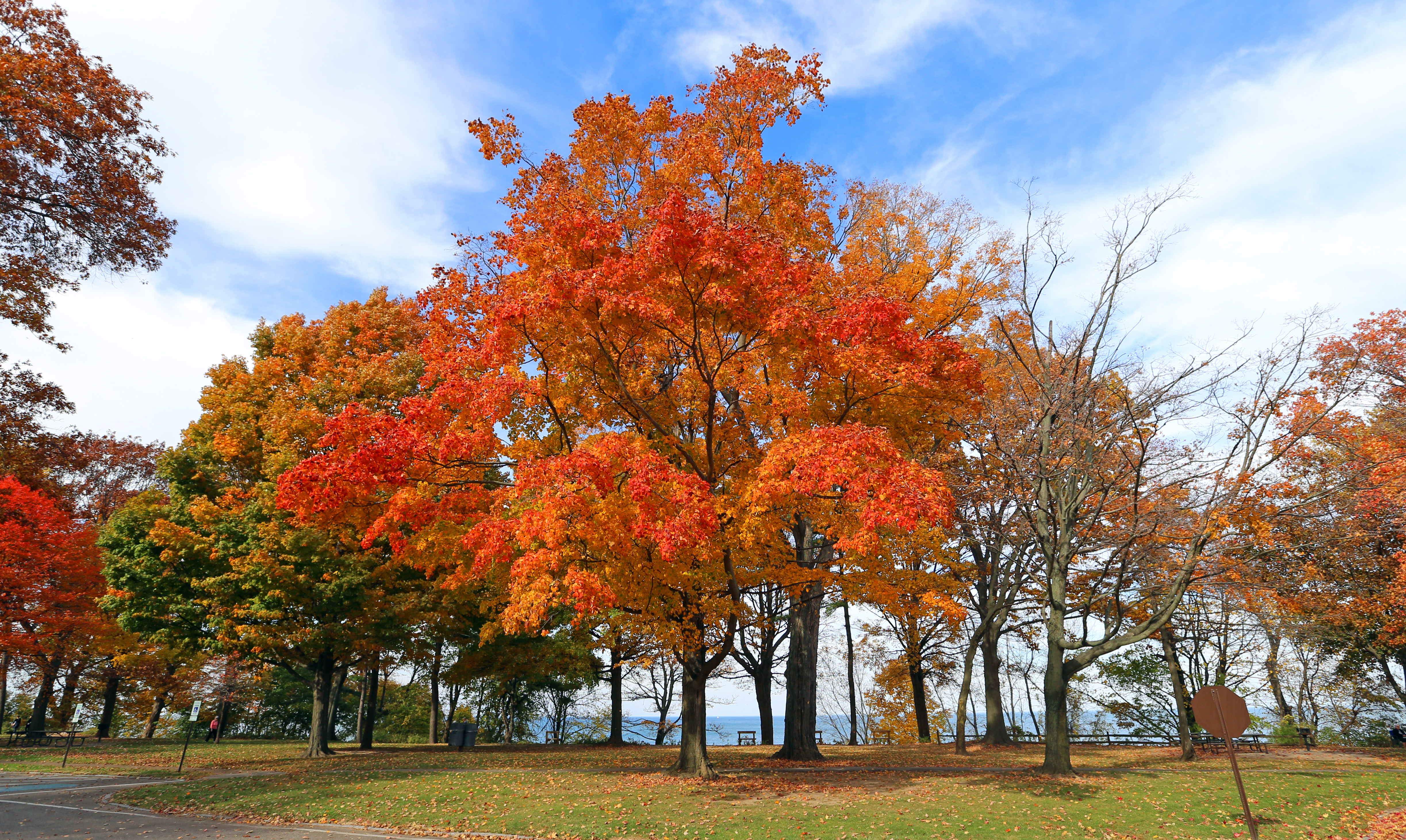 Fall colors are on full display in Northeast Ohio, October 27, 2022 ...