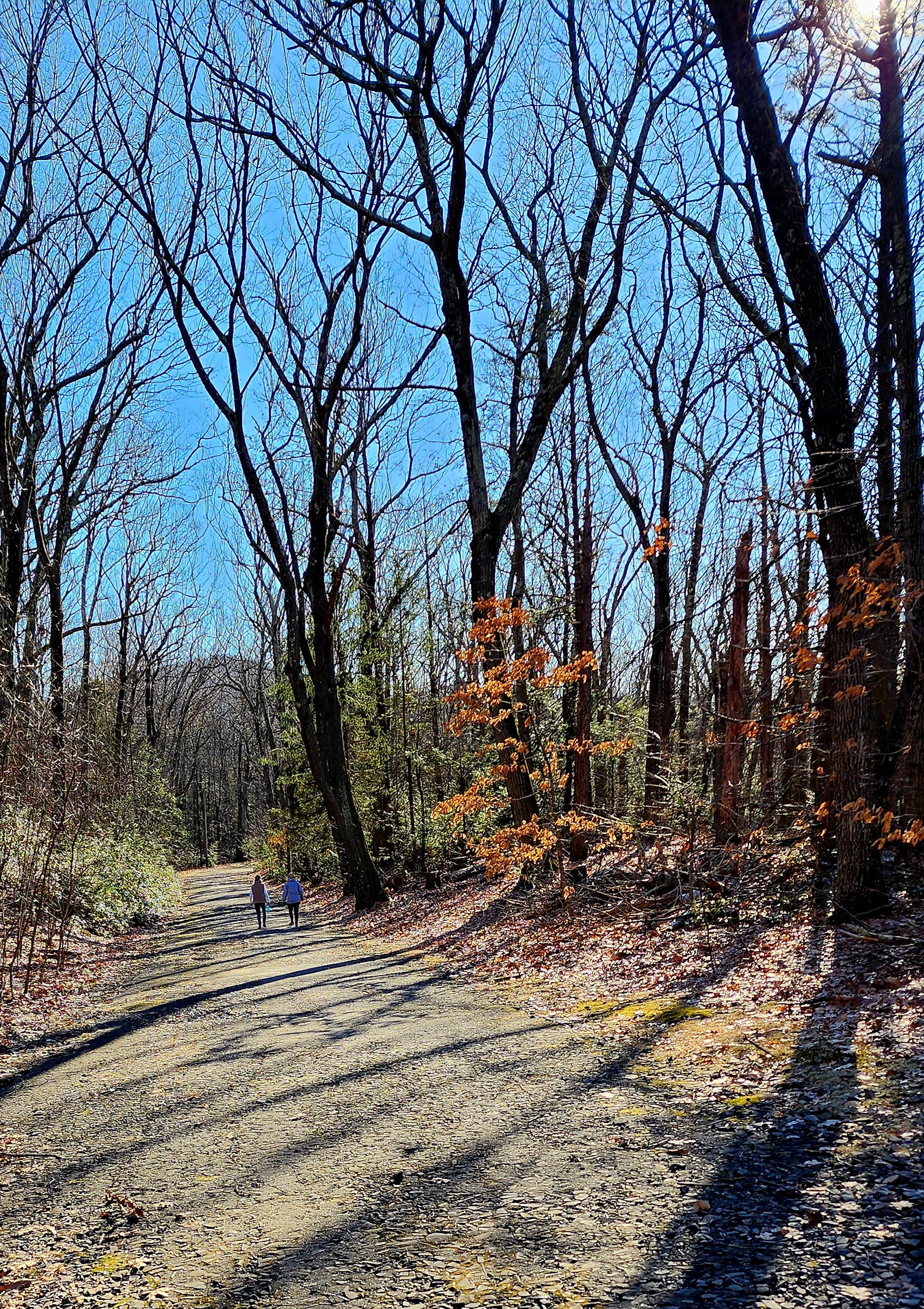 Get the chills on winter hike to Eyrie House Ruins - masslive.com
