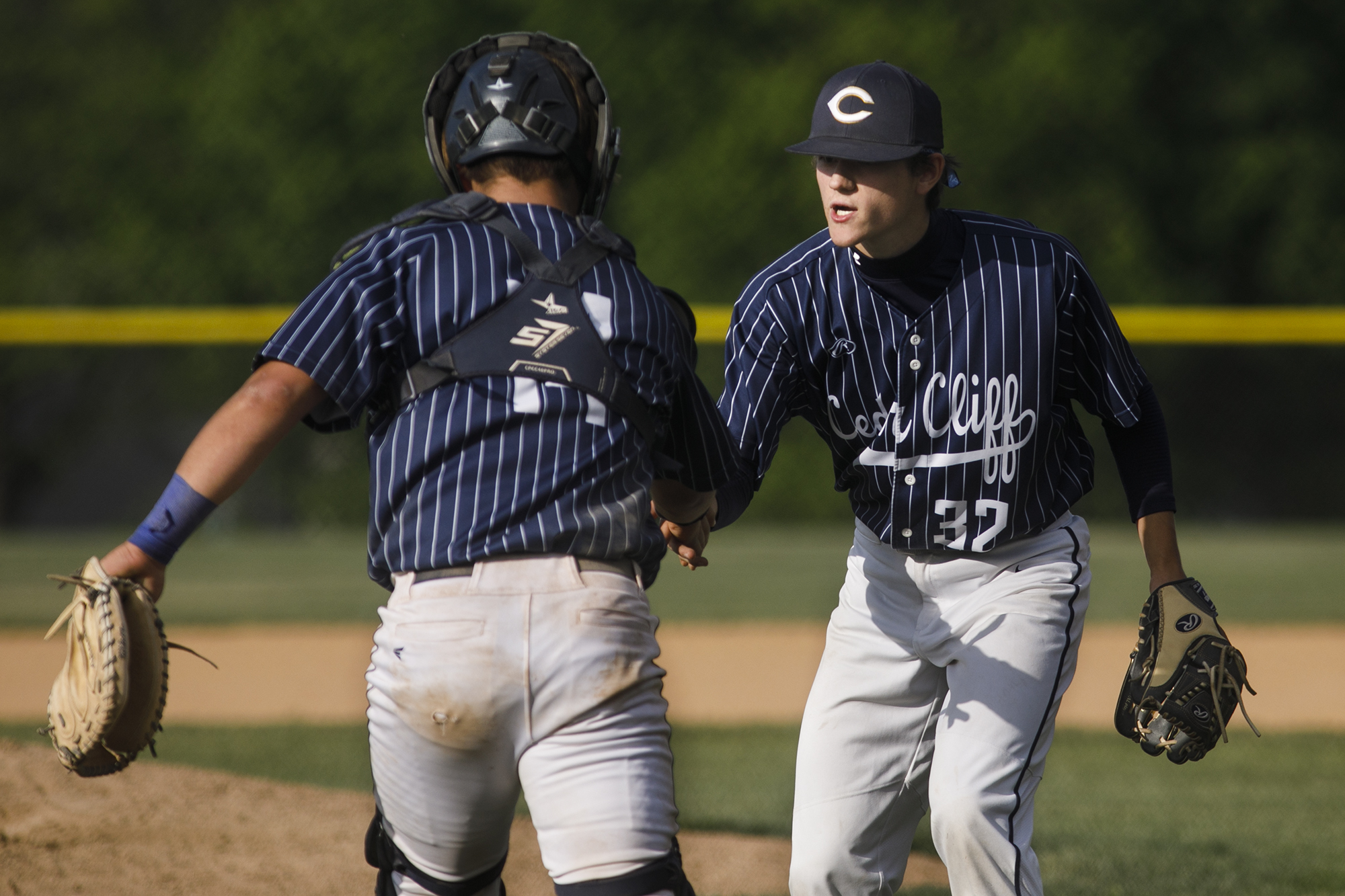 Cedar Cliff defeats Red Lion 4-2 in District 3 baseball semi-final ...