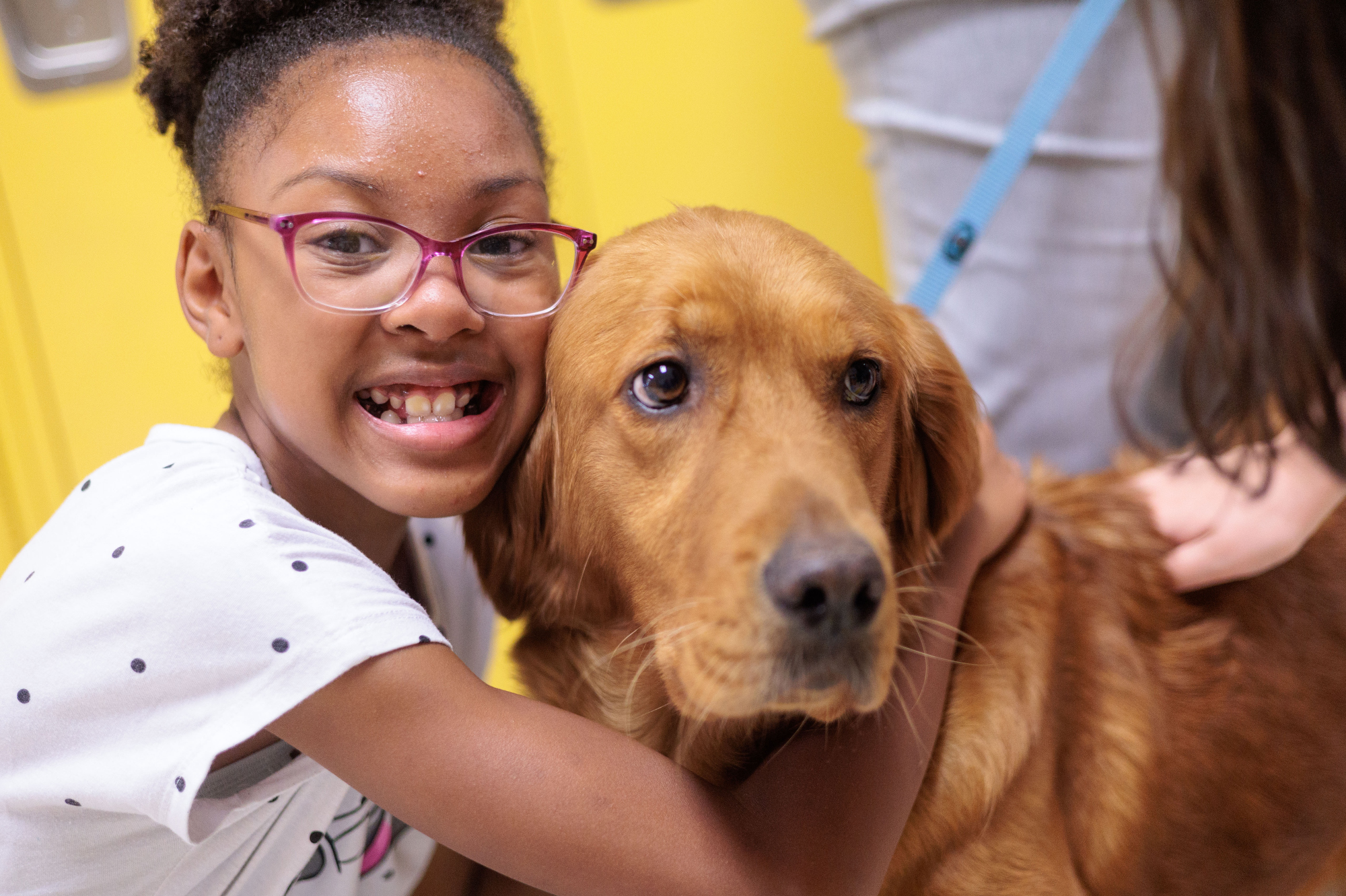 Mindy the Therapy Dog at Brick Elementary School - mlive.com