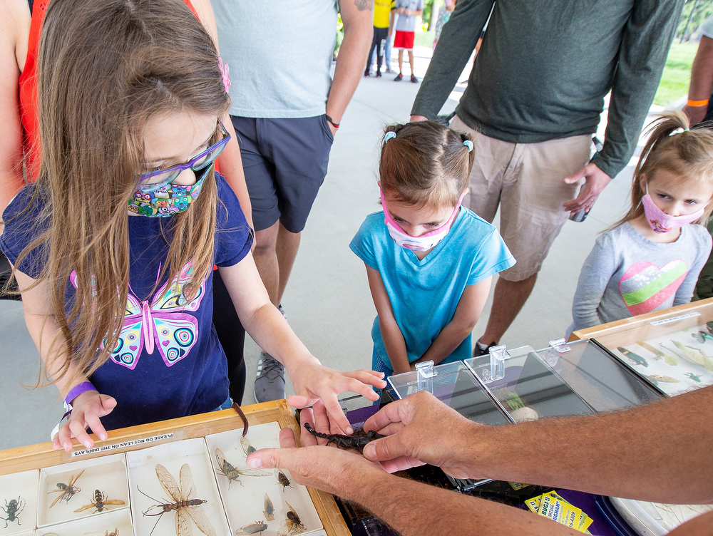 Bug O’Rama at Hershey Gardens - pennlive.com