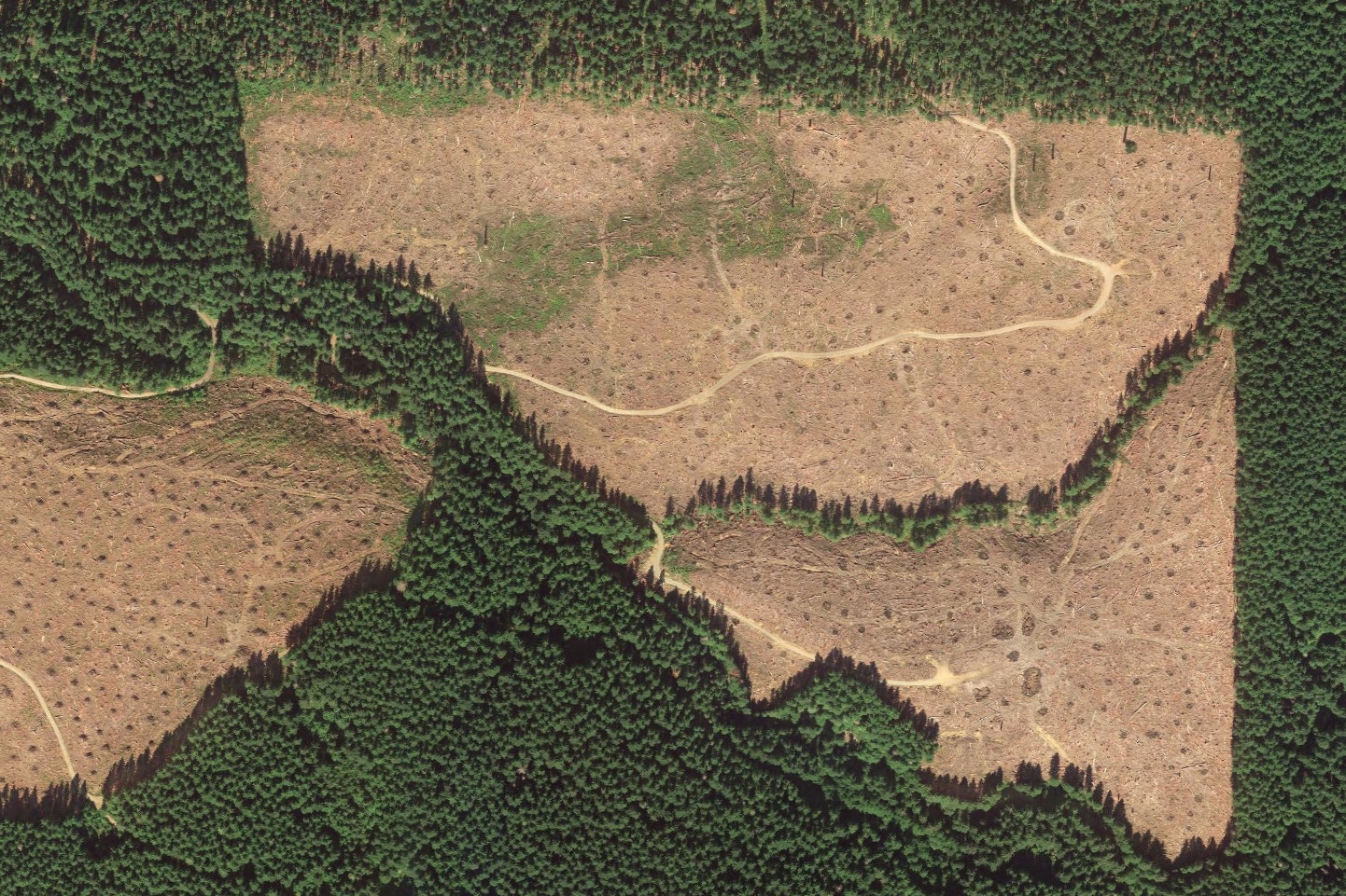 Timber tax cuts cost Oregon towns billions. Then clear-cuts polluted ...