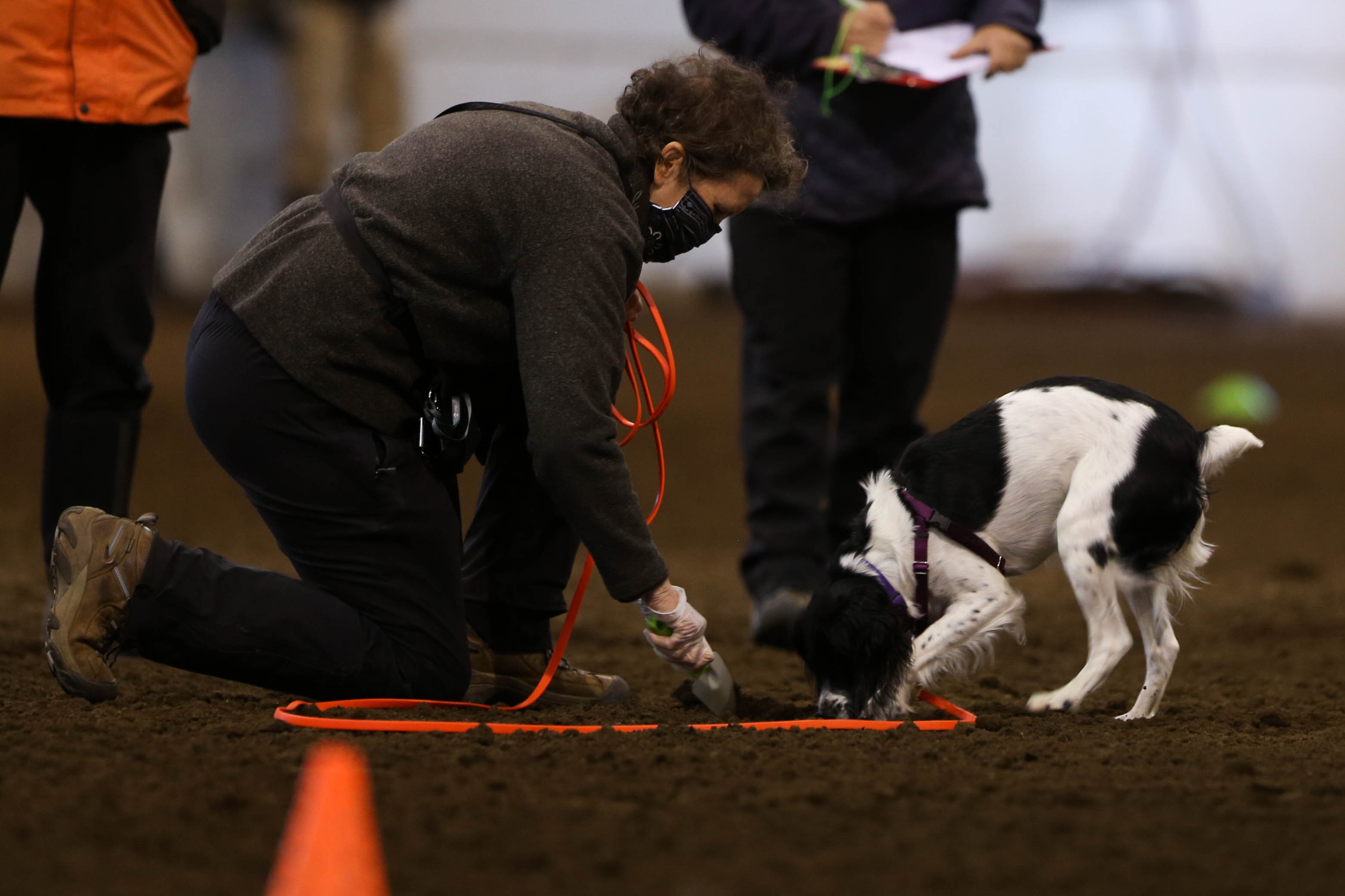 2022 North American Truffle Dog Championship - oregonlive.com