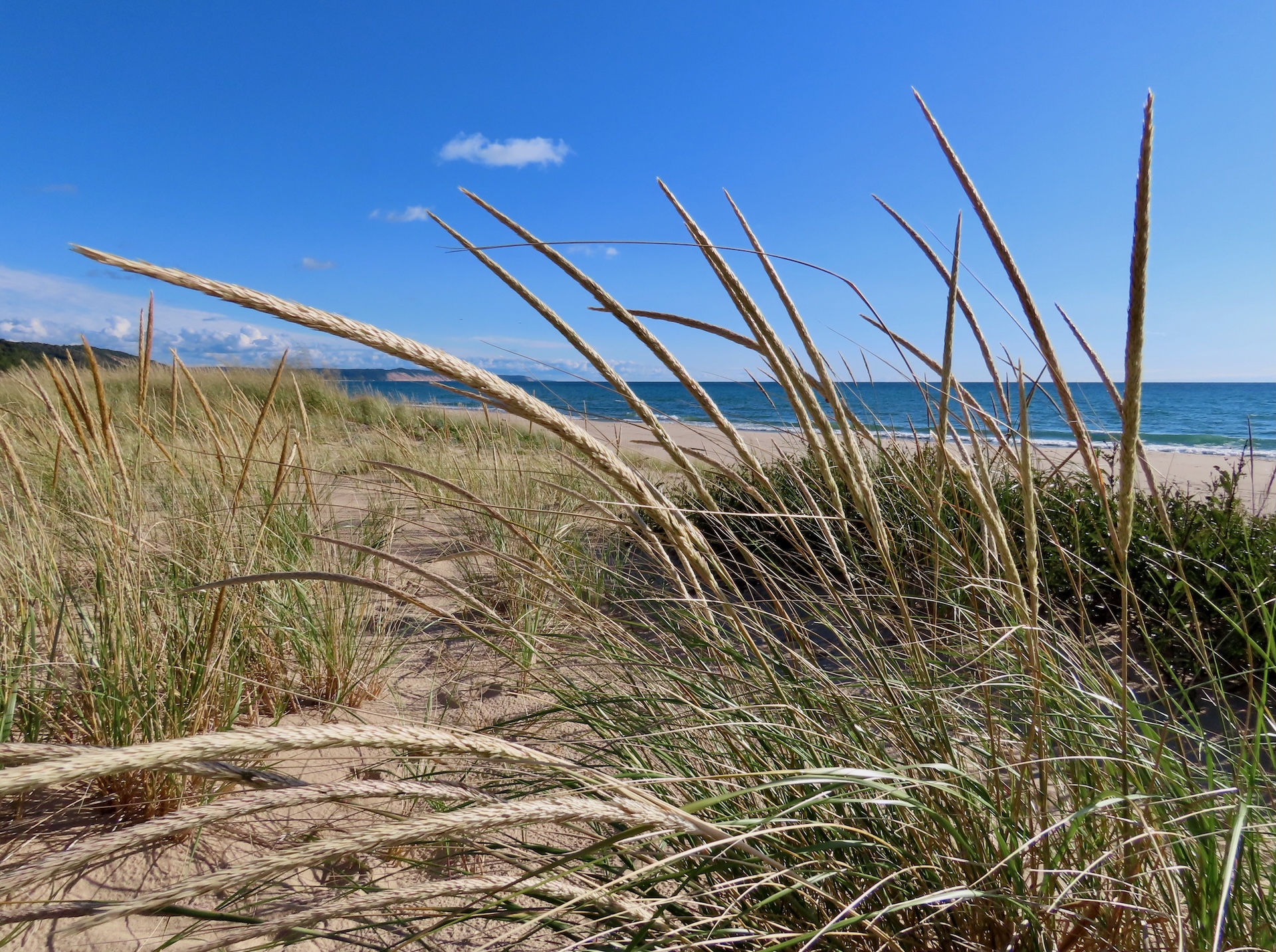 The Elberta waterfront - mlive.com