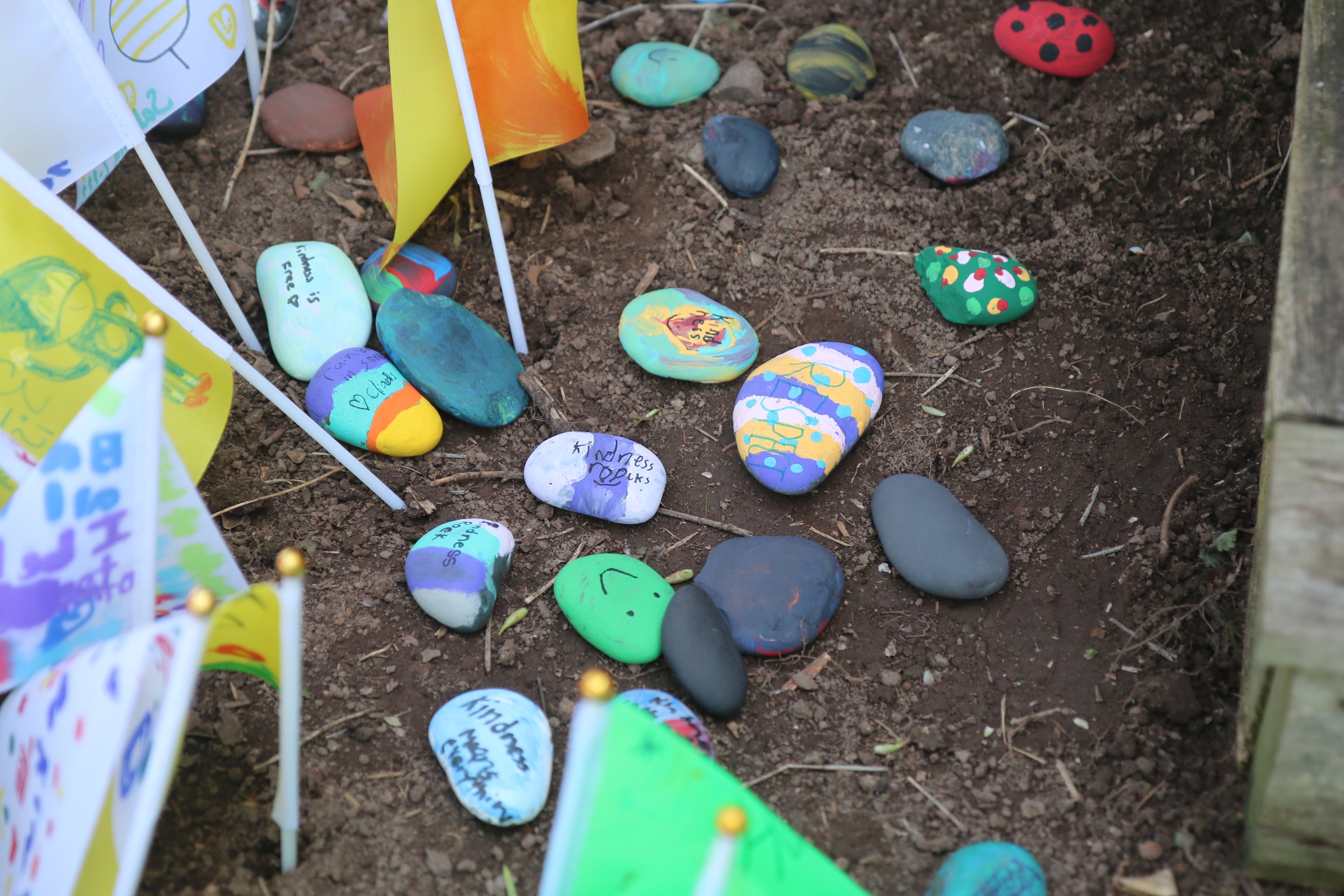 Painted rocks, flags spread kindness at PS 54 - silive.com