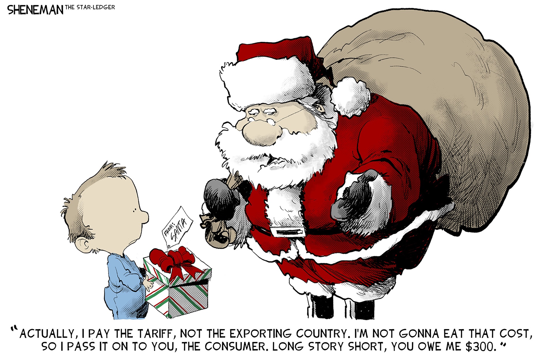 Editorial cartoons for Dec. 8, 2024 - syracuse.com