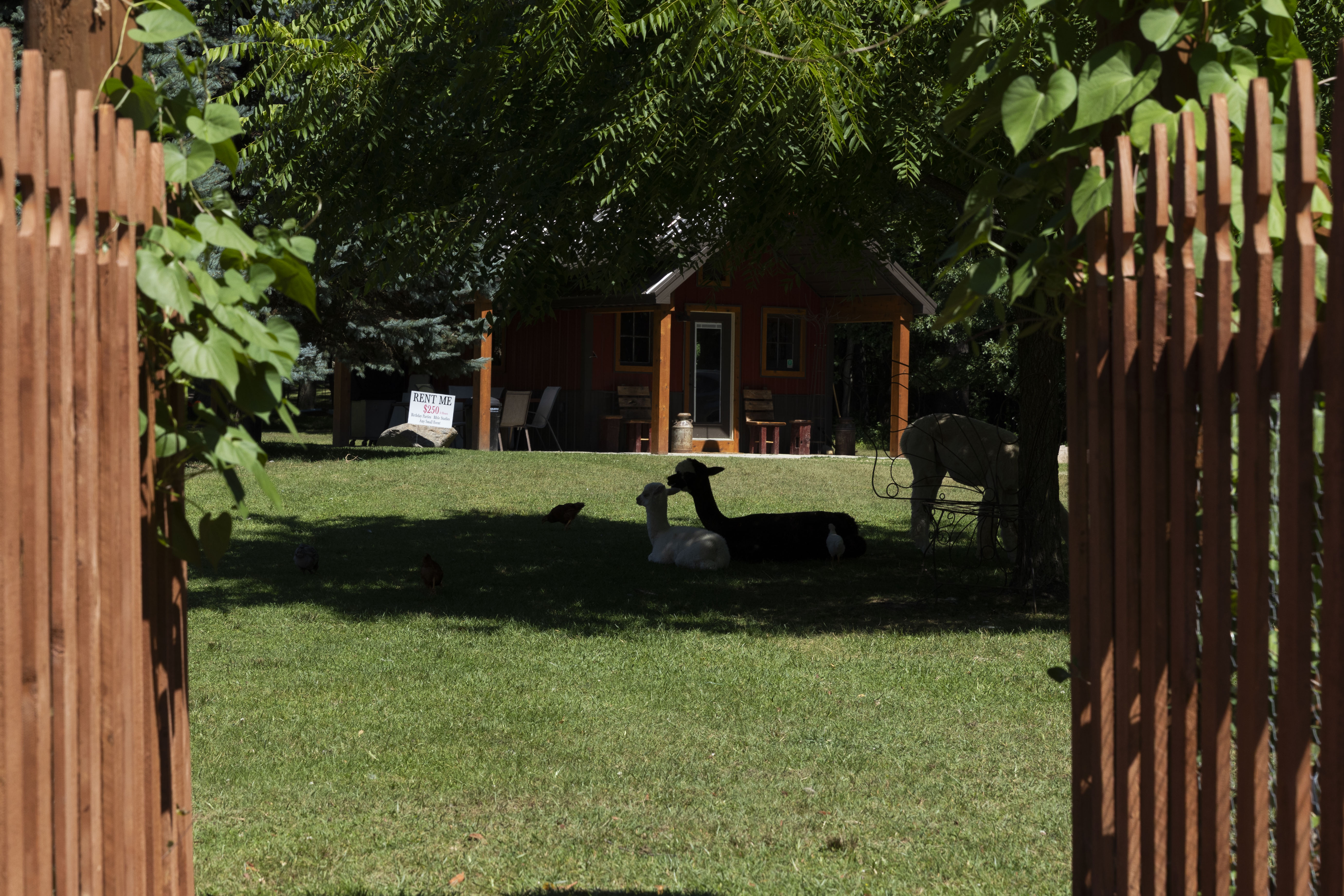 Lowry's Little Flock expanded its offerings last year with a small ...