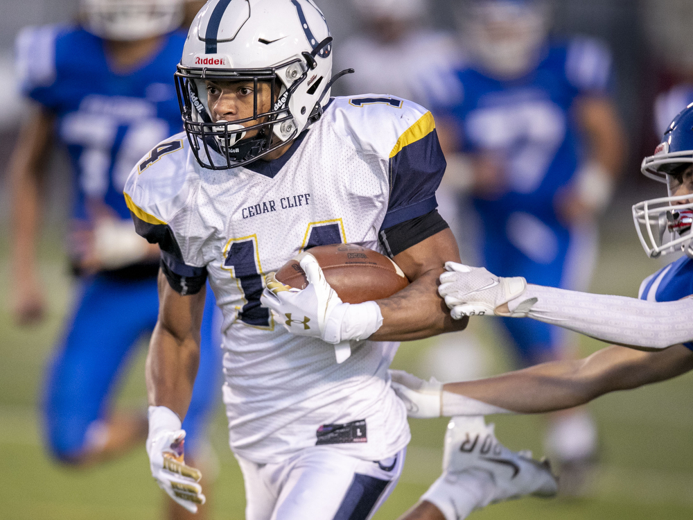 Cedar Cliff plays Lower Dauphin at Hersheypark Stadium - pennlive.com