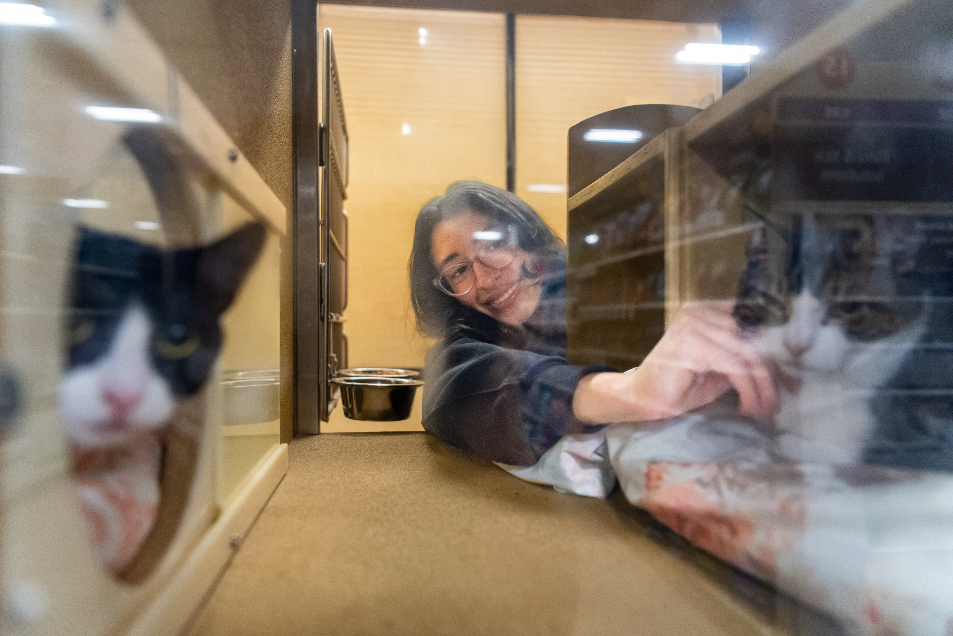 Animal adoption center at Secaucus PetSmart - nj.com