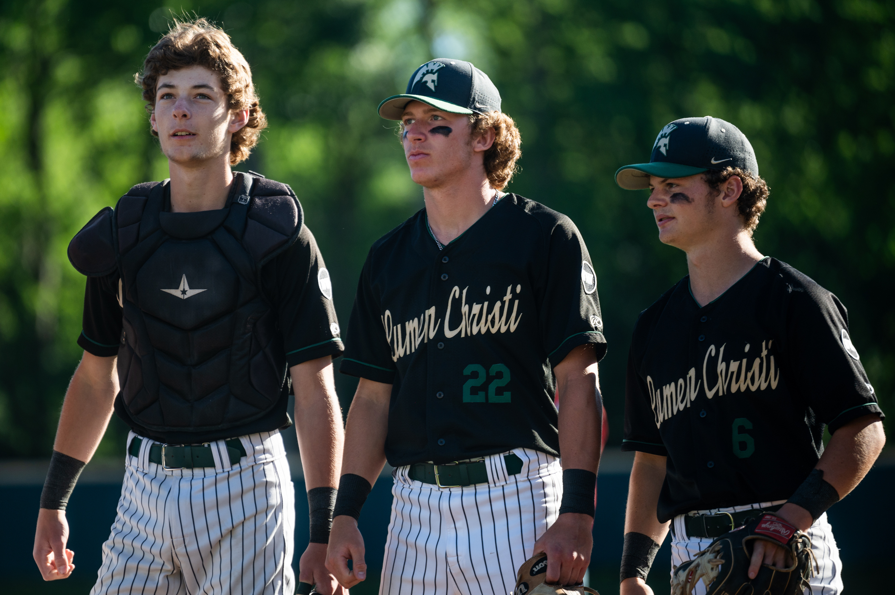 Watervliet wins MHSAA Division 3 baseball state championship - mlive.com