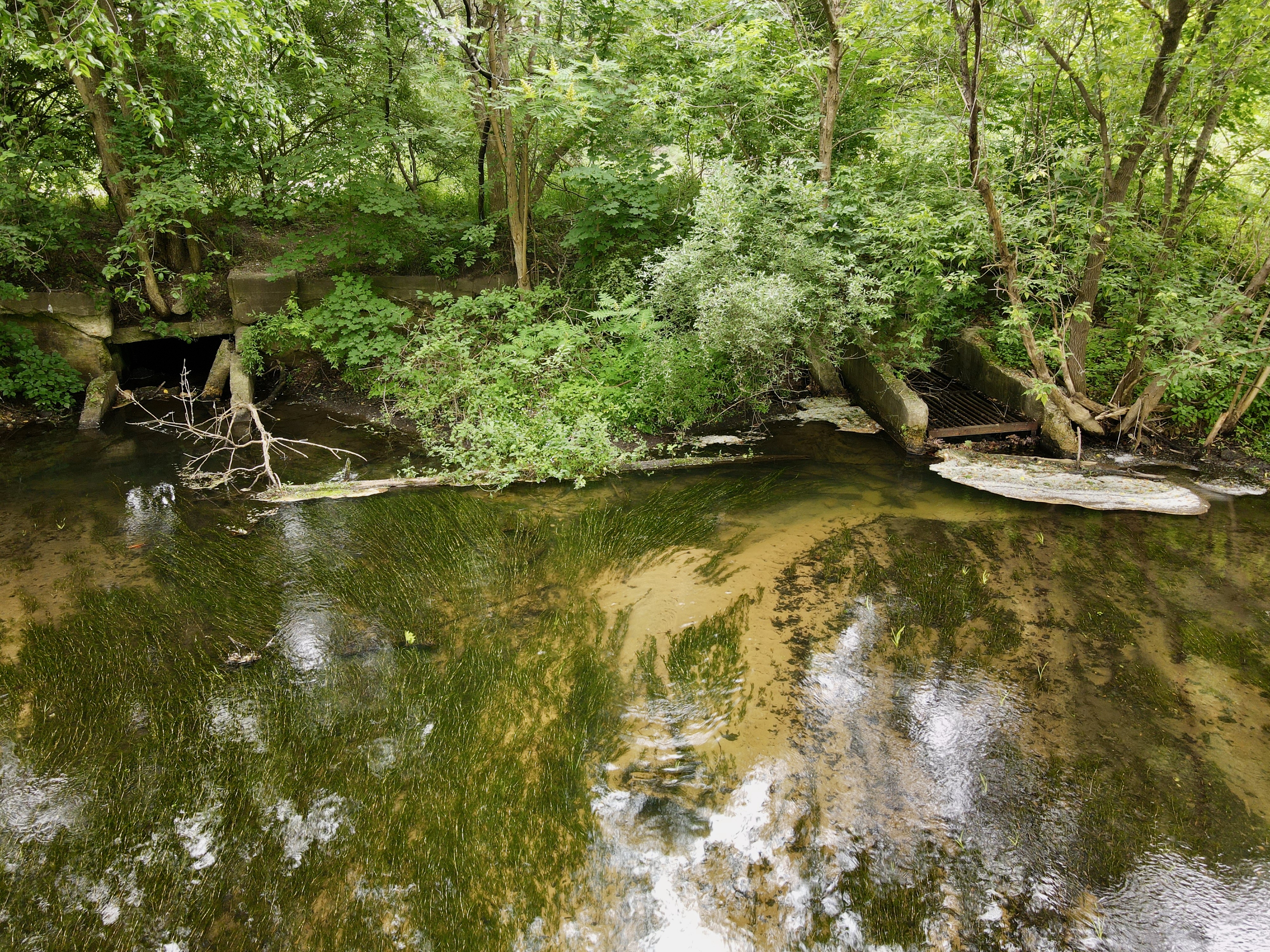 Dam removal planned at Newaygo factory ruin - mlive.com