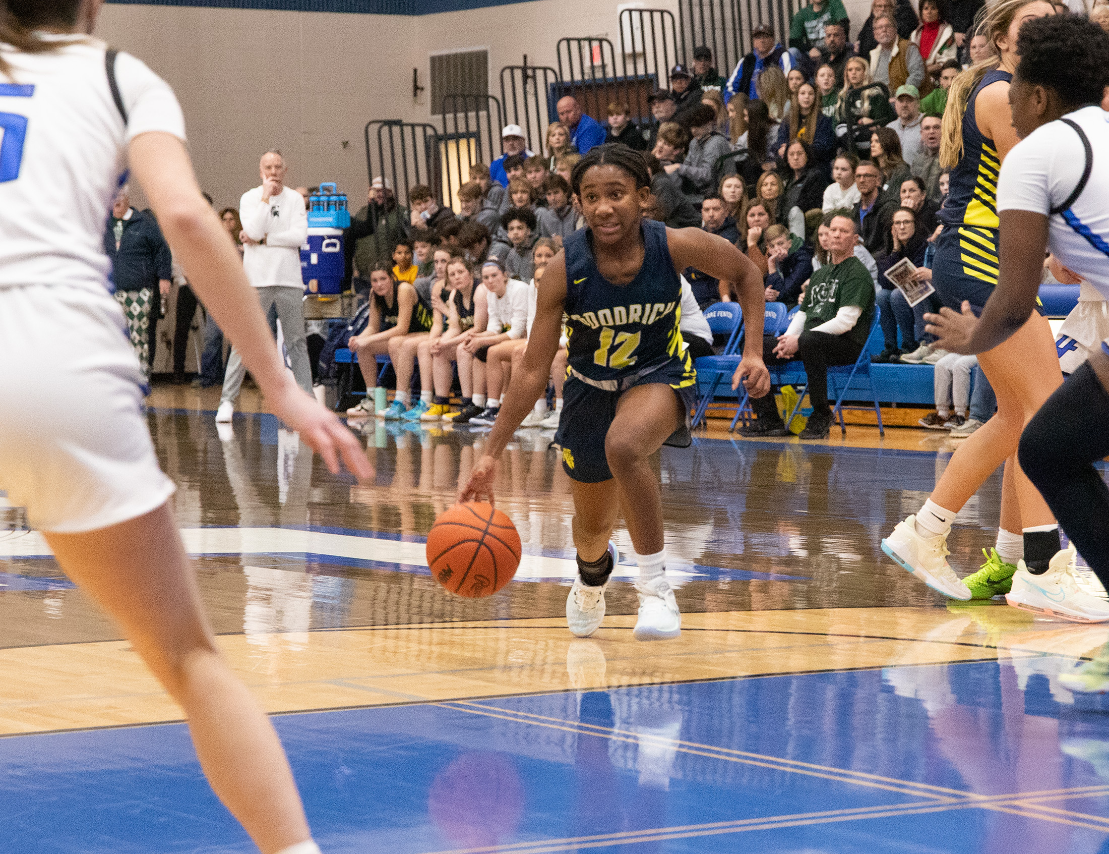 Goodrich at Lake Fenton Girls Basketball - mlive.com