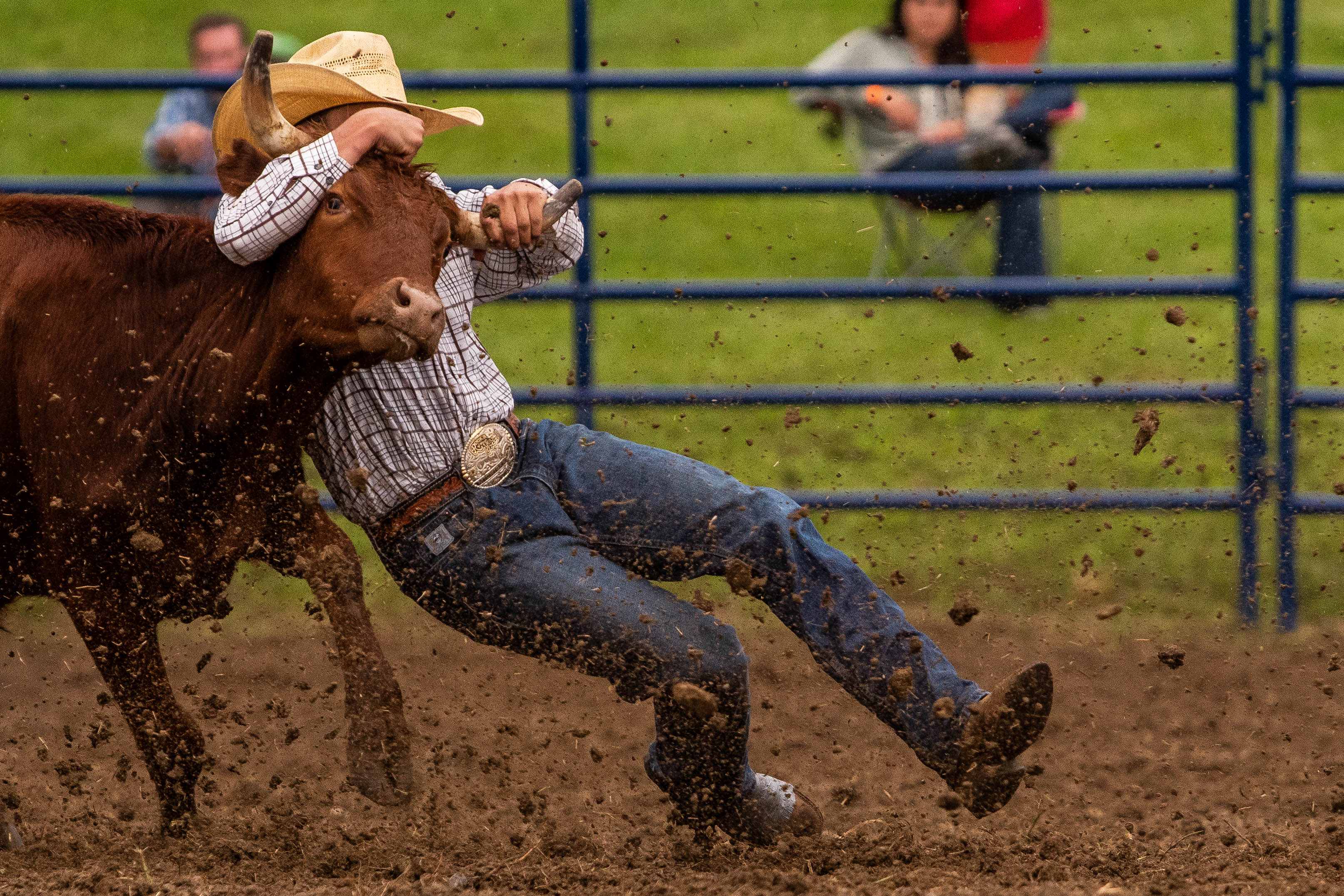 Rodeo returns to Gaines Township - mlive.com