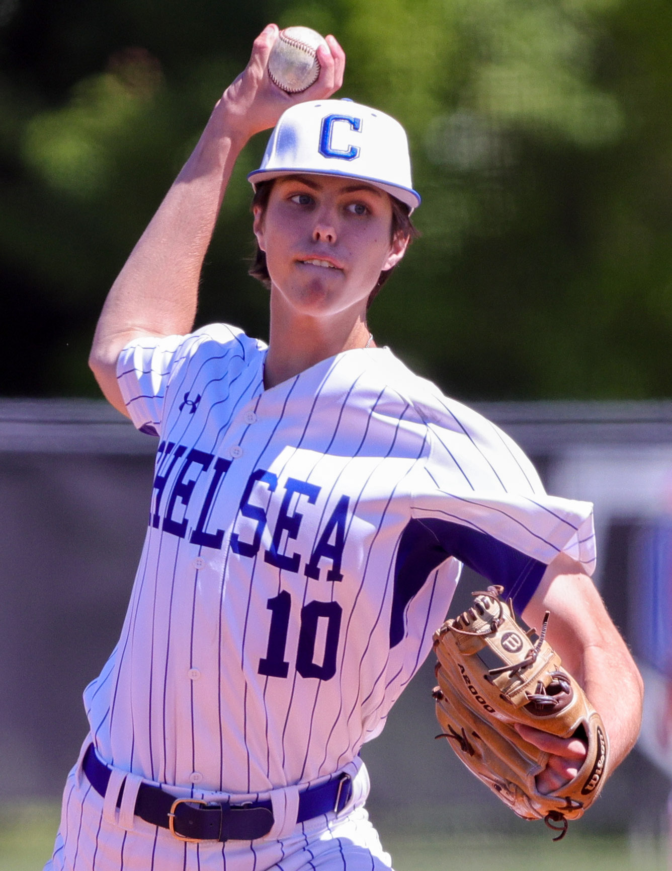 Cullman at Chelsea Class 6A baseball Game 3 - al.com