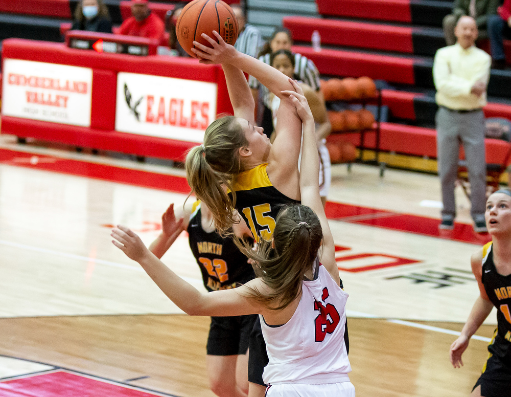 North Allegheny defeats Cumberland Valley 51-41 in girls high school ...