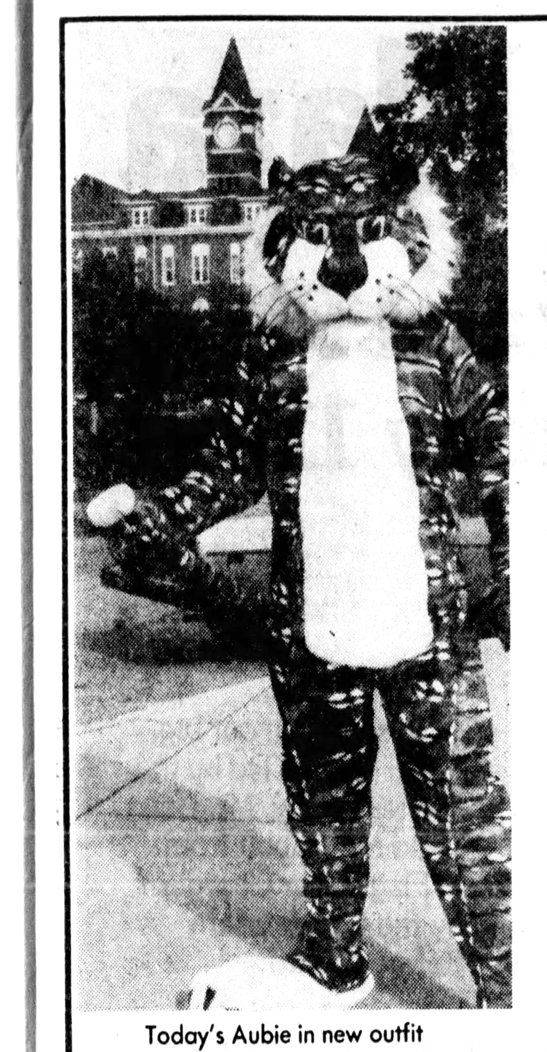 Vintage Aubie - al.com