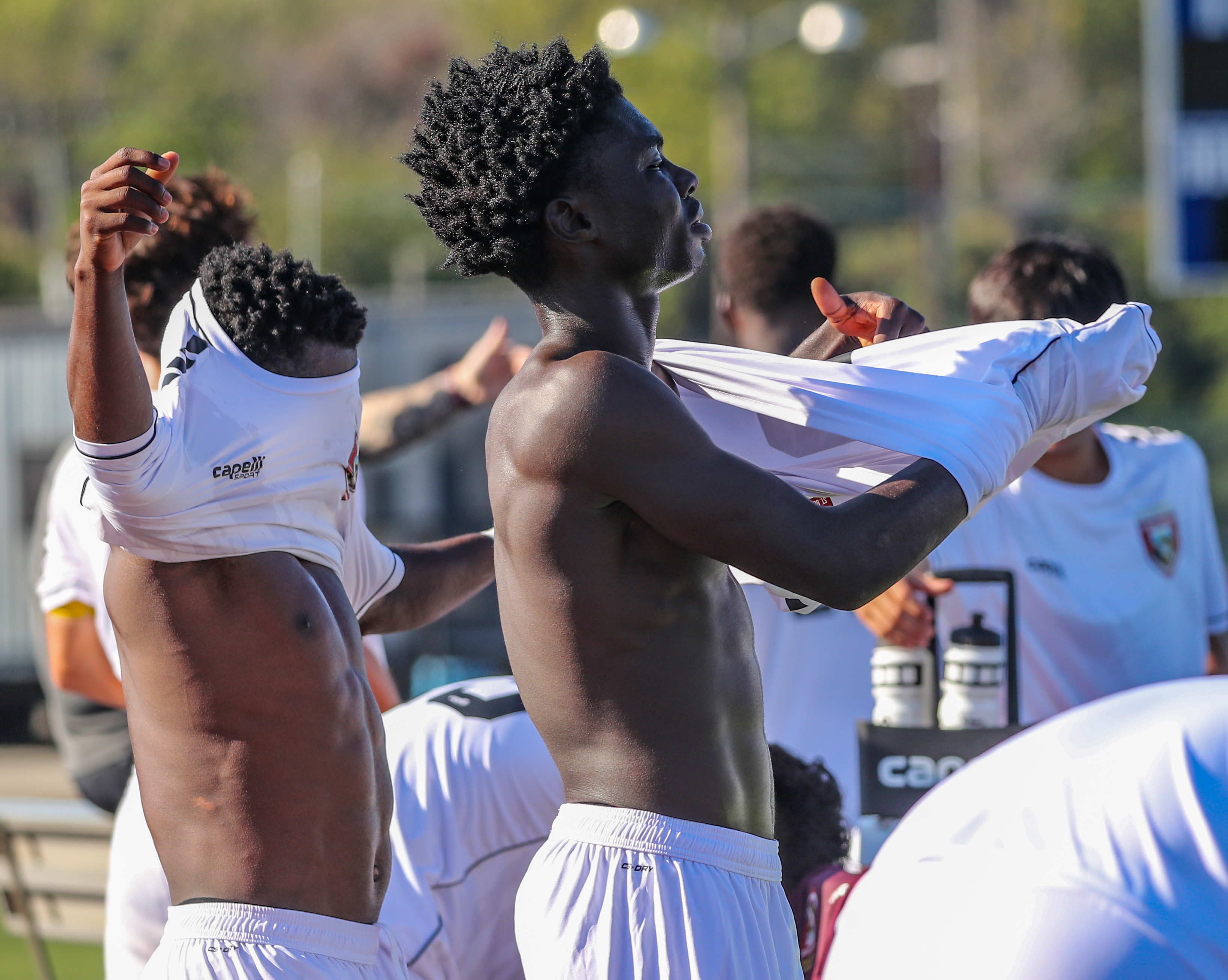 St. Benedict's Prep is the best boys soccer team in the nation - nj.com