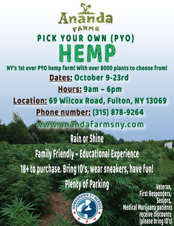 Pick Your Own Hemp at Ananda Farms in Oswego County - syracuse.com