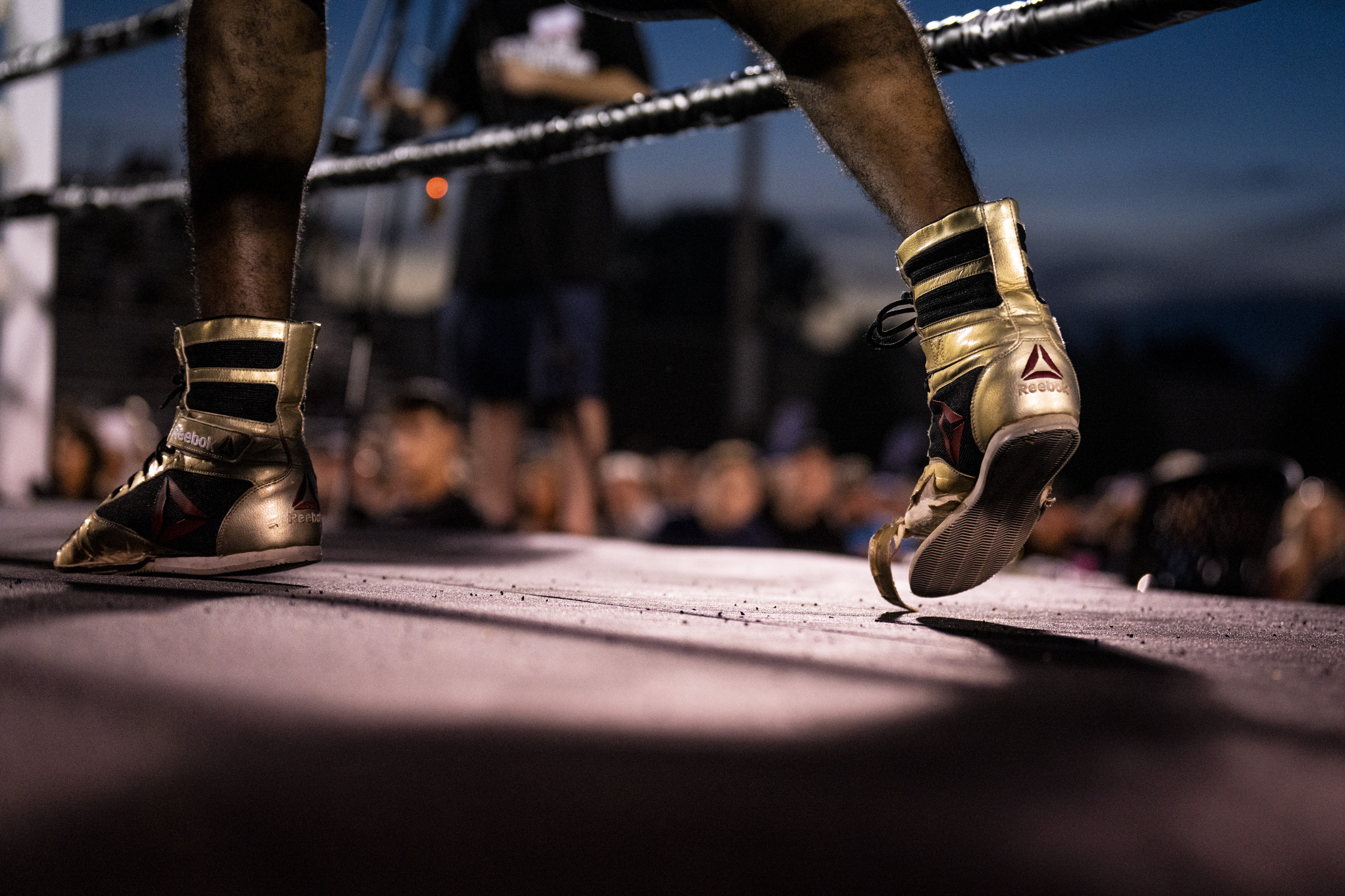 Spencer brothers pro fight card - mlive.com