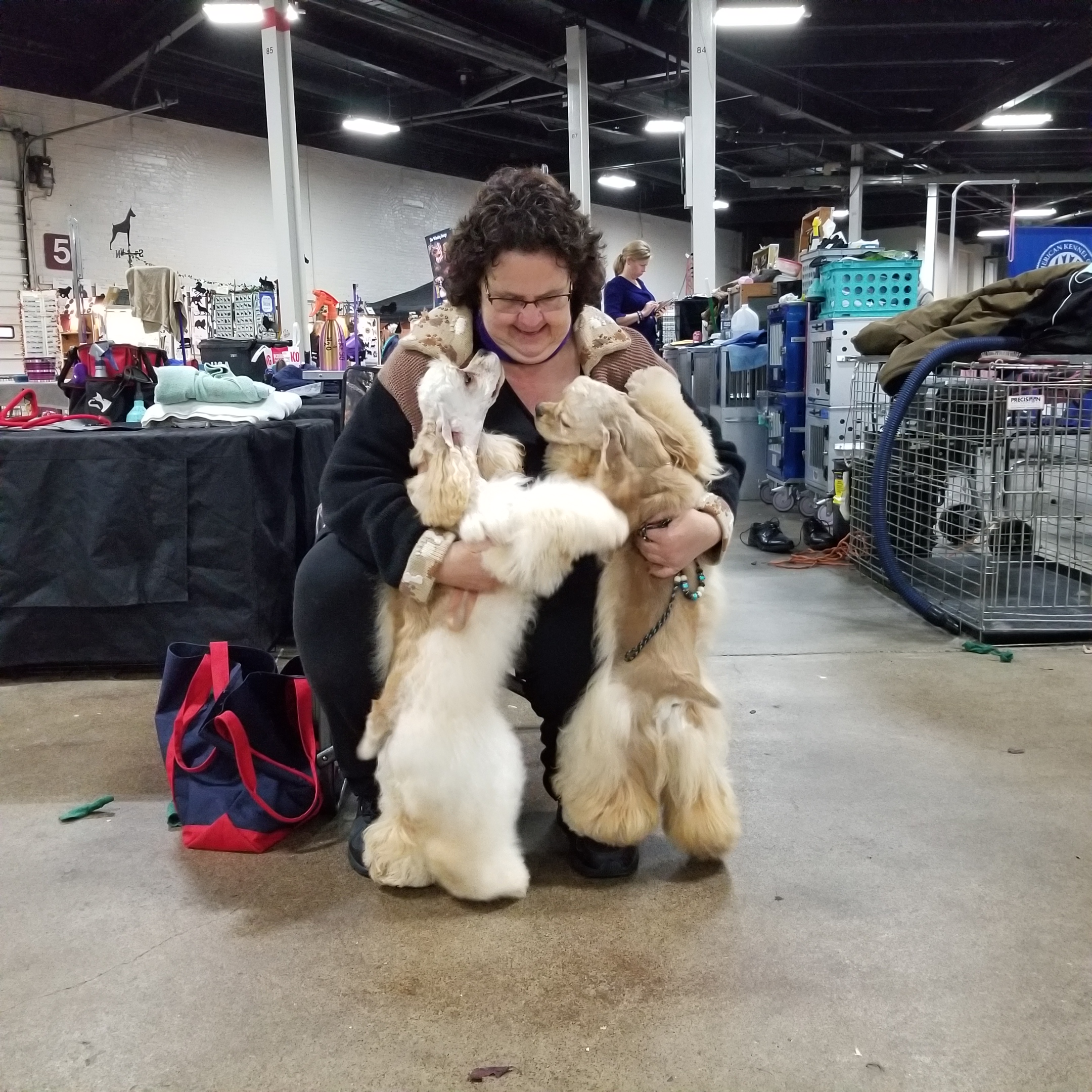Thanksgiving Classic Cluster Dog Show - masslive.com