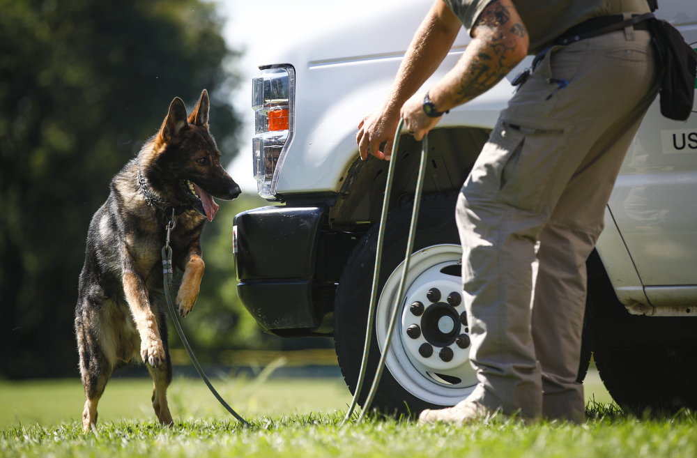 20th Regional Explosives Detection Dog Initiative - lehighvalleylive.com