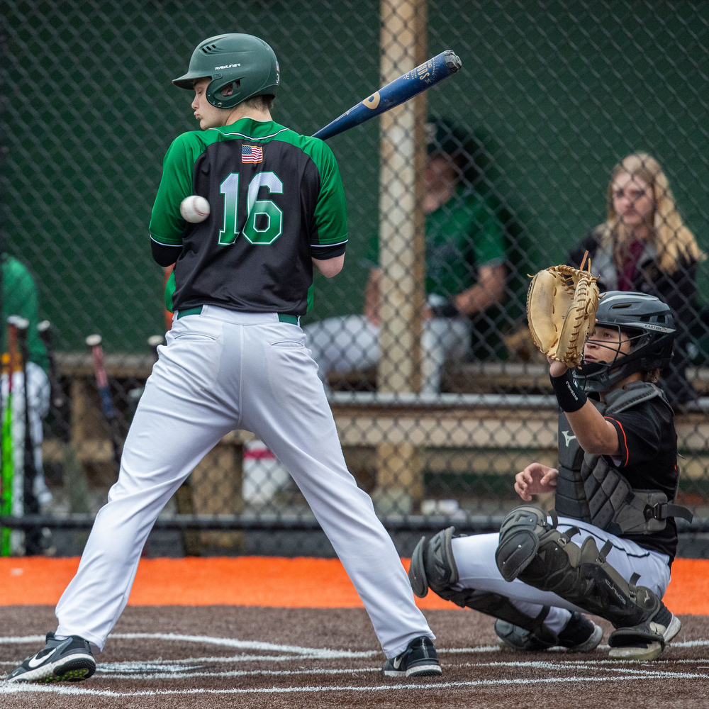 Carlisle plays Palmyra in high school baseball matchup - pennlive.com