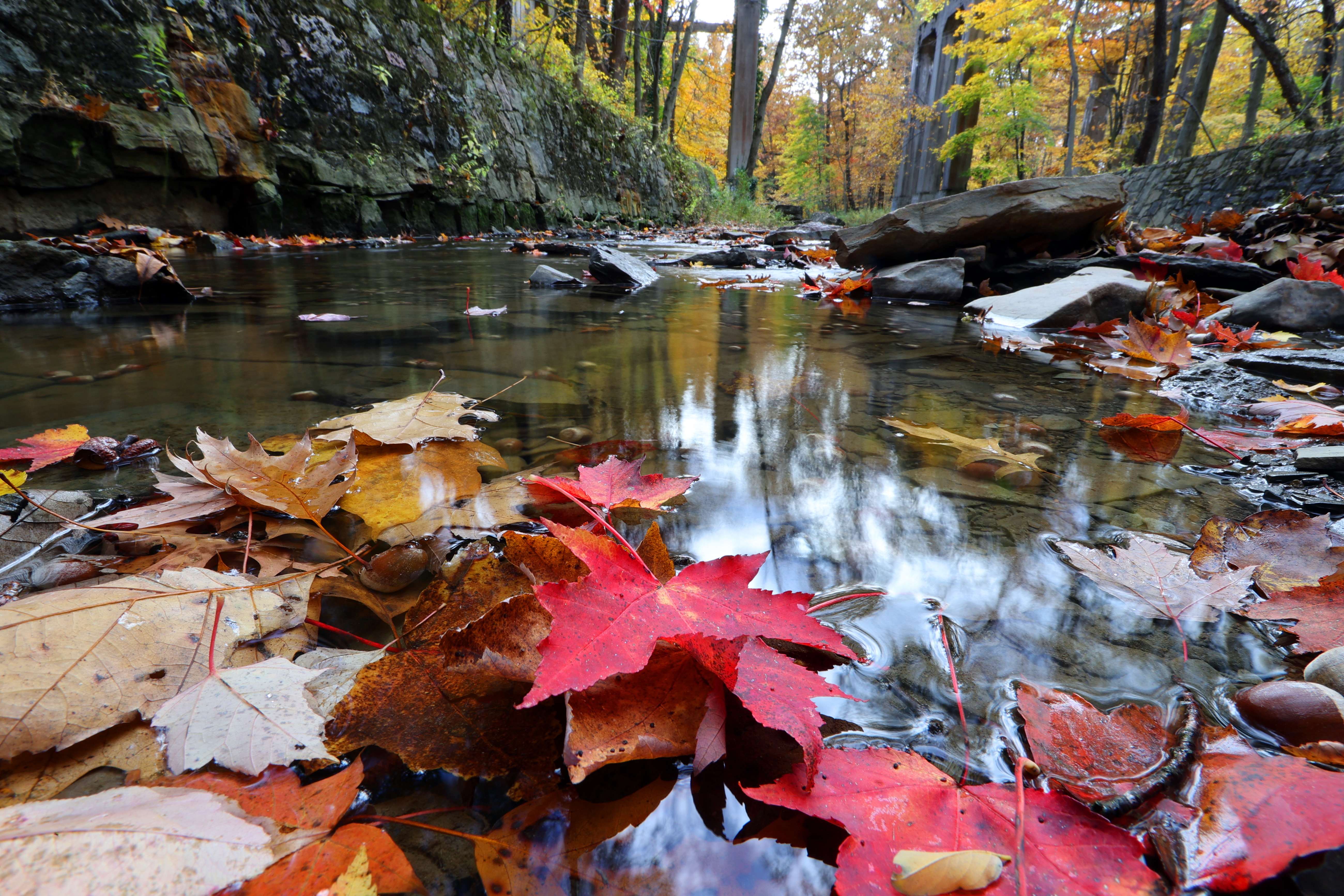 Fall colors are on full display in Northeast Ohio, October 27, 2022 ...
