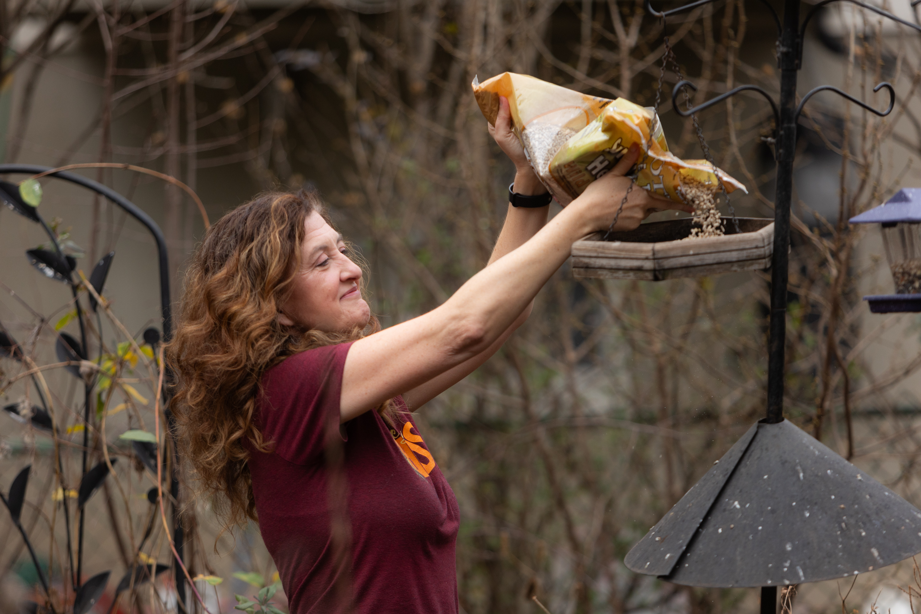 Jersey City Birds calendar celebrates a year of local wildlife - nj.com